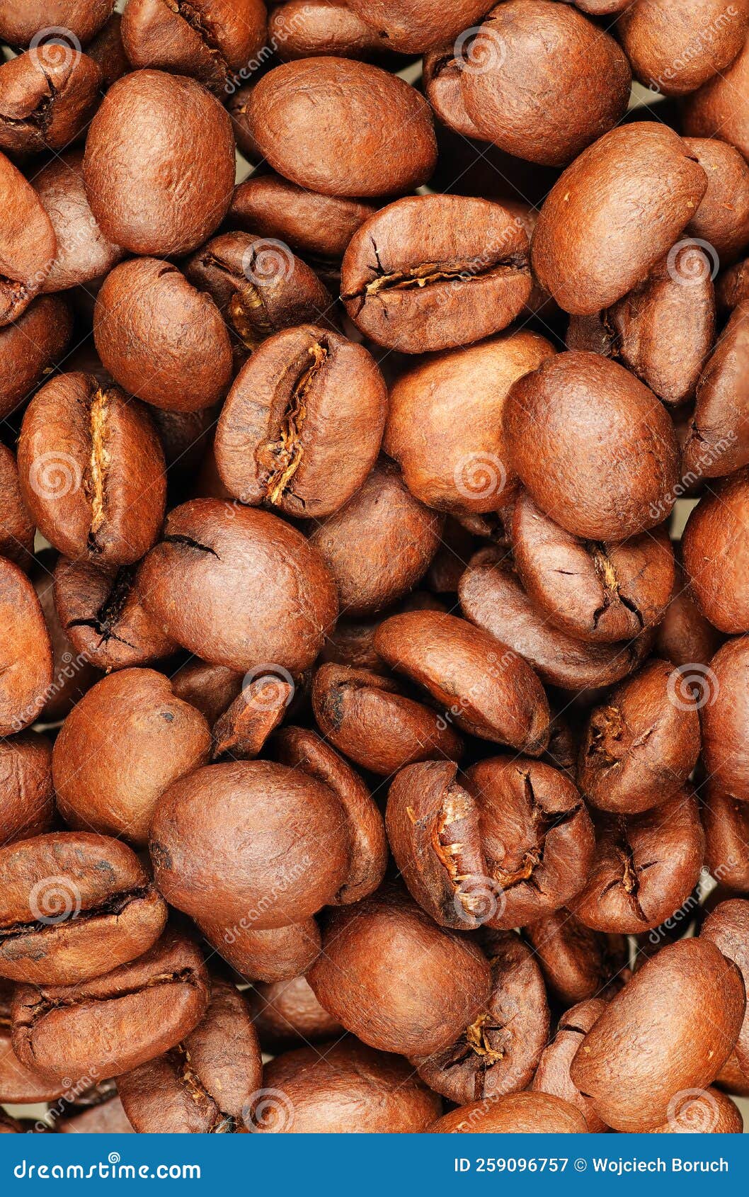 Roasted Arabica Coffee Beans Stock Image - Image of roasted, beans ...