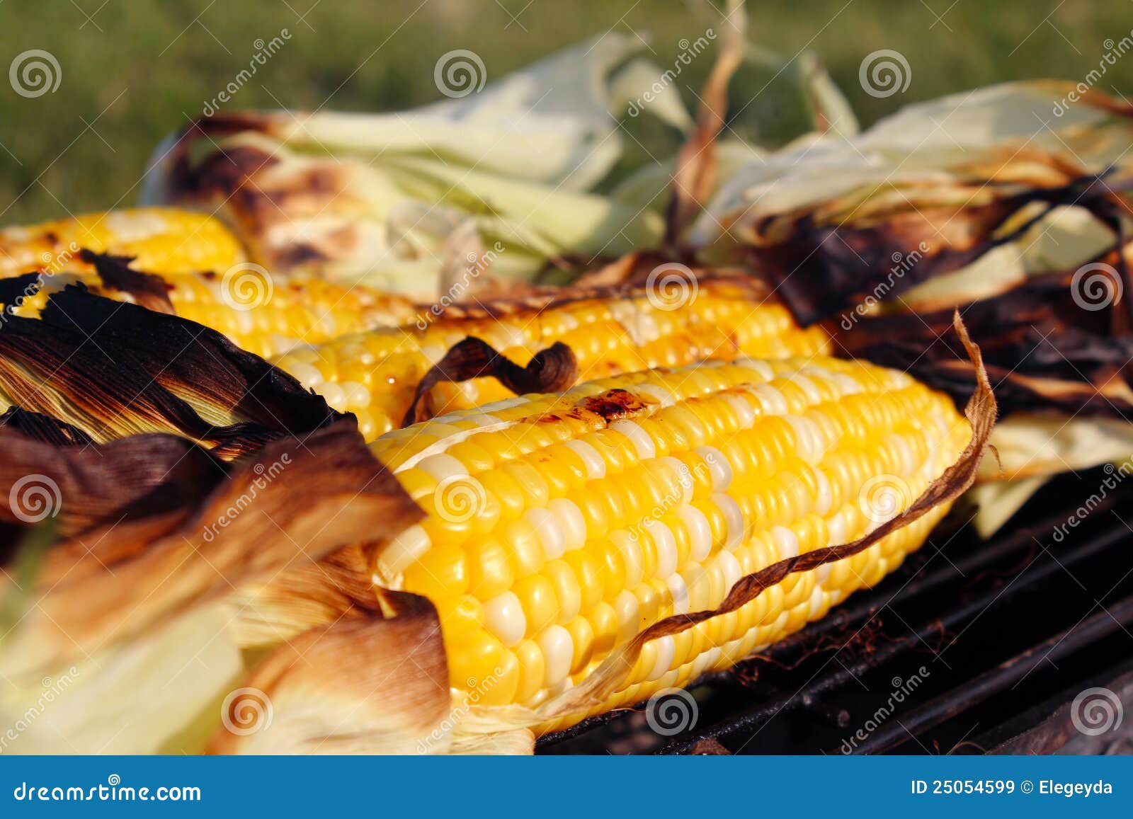 Roasted barbecue corn stock image. Image of meal, natural - 25054599
