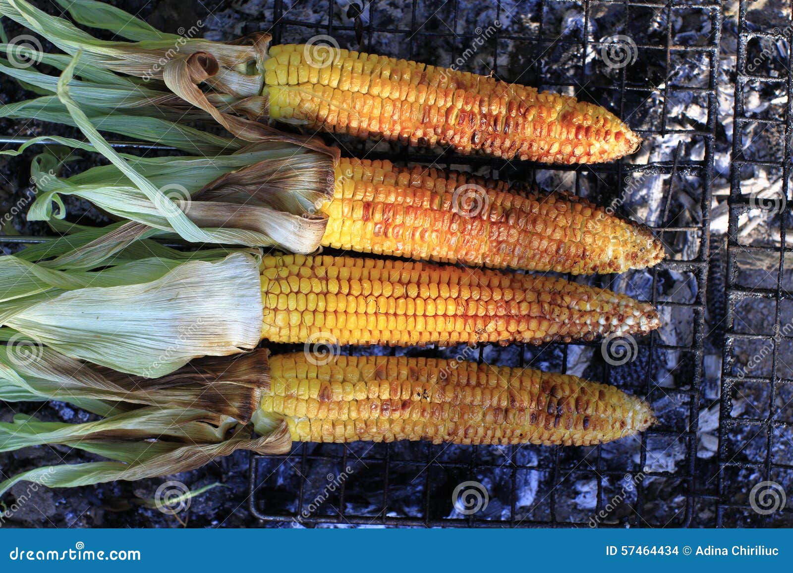 Roasted barbecue corn stock photo. Image of farm, grill - 57464434