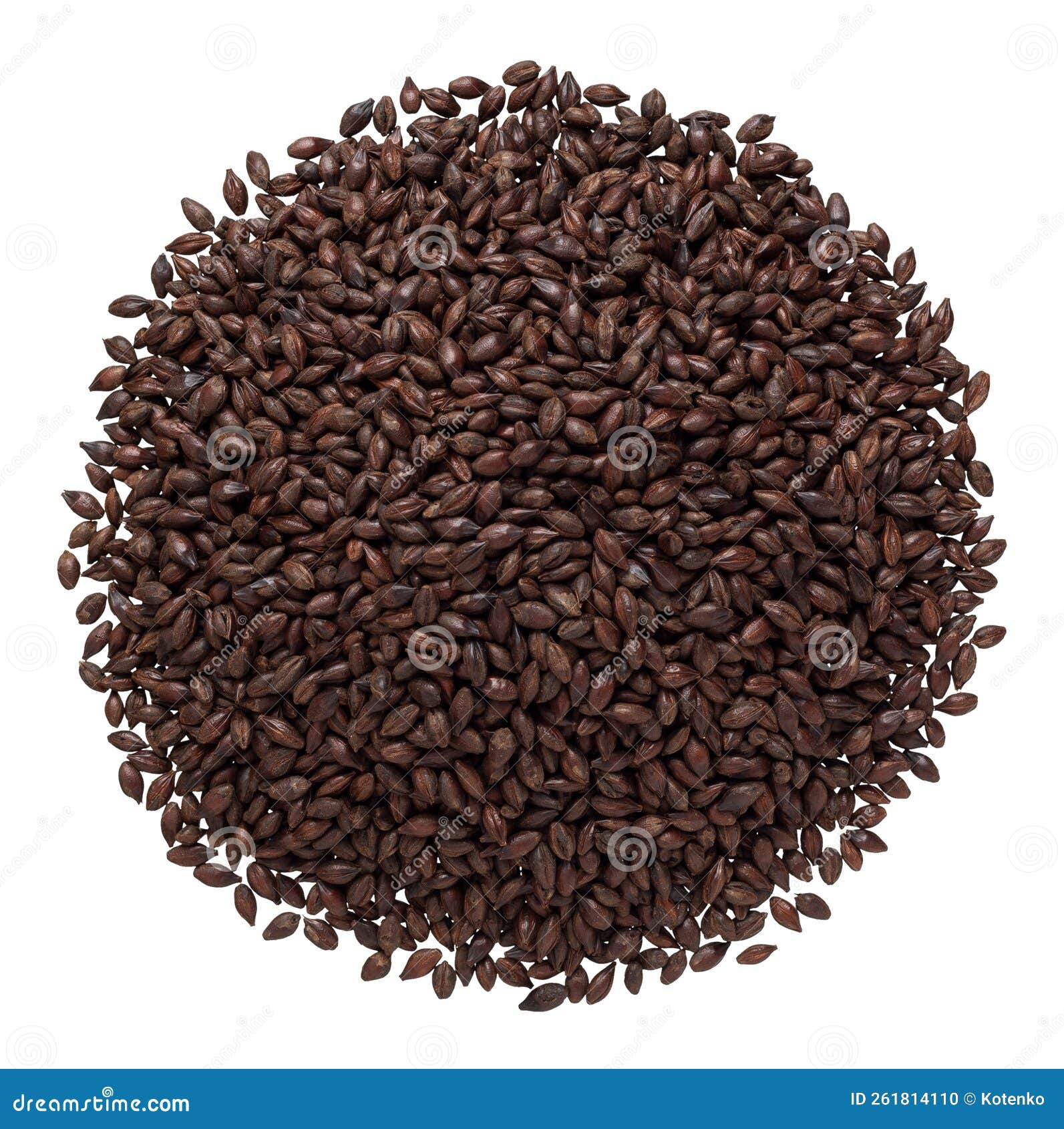 Roasted Barley Malt stock photo. Image of black, people - 261814110