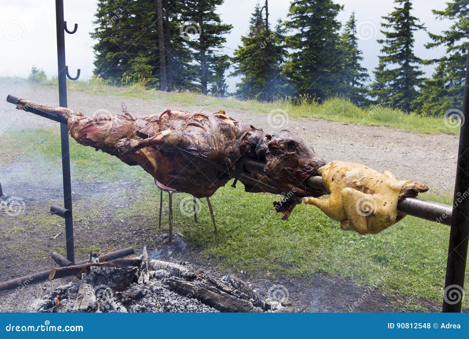 Roasted Calf and Turkey on Outside Grill Stock Photo - Image of bird ...