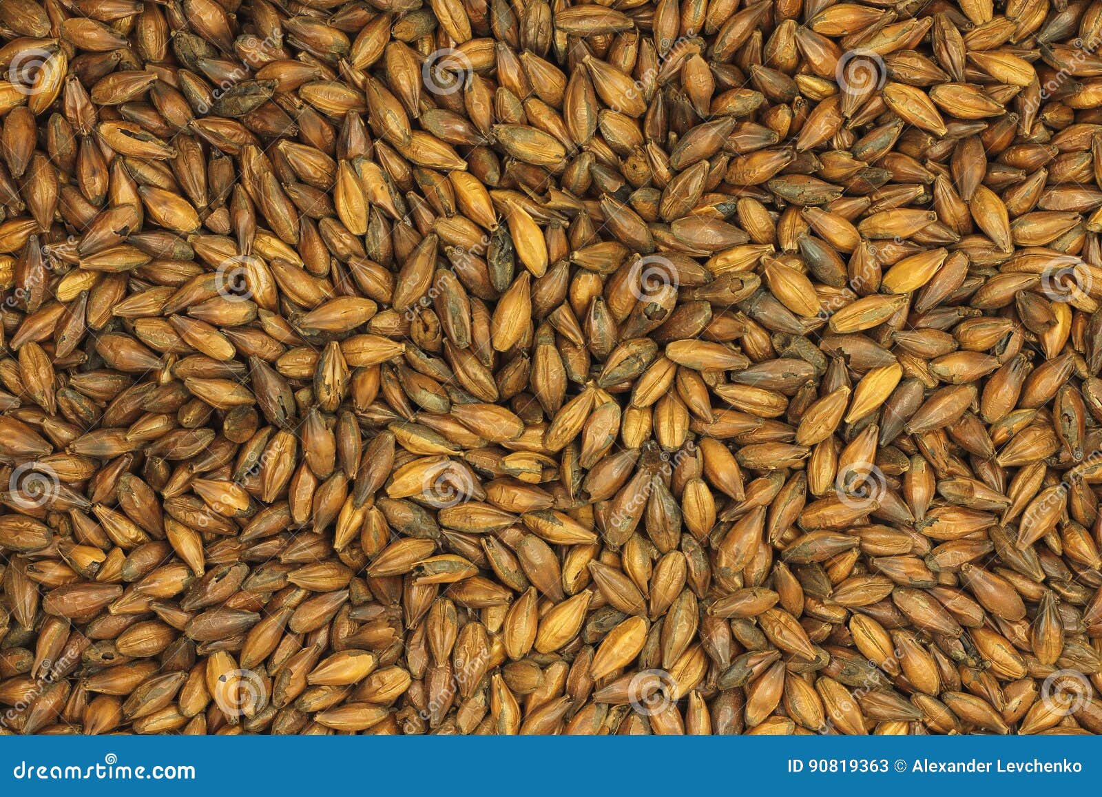 Roasted Caramel Malt Background Stock Image - Image of brewing, fried ...
