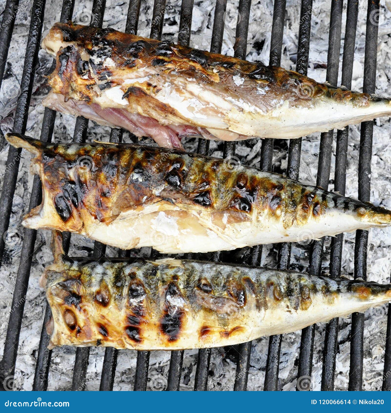Roasted Carcass Fish Mackerel Cooked on the Grill, Top View, Close-up ...
