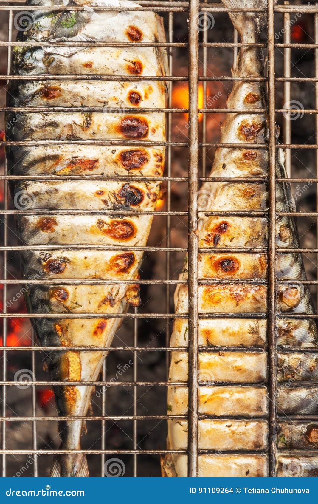 Roasted Carcass Fish Mackerel Cooked on the Grill, Top View, Clo Stock ...