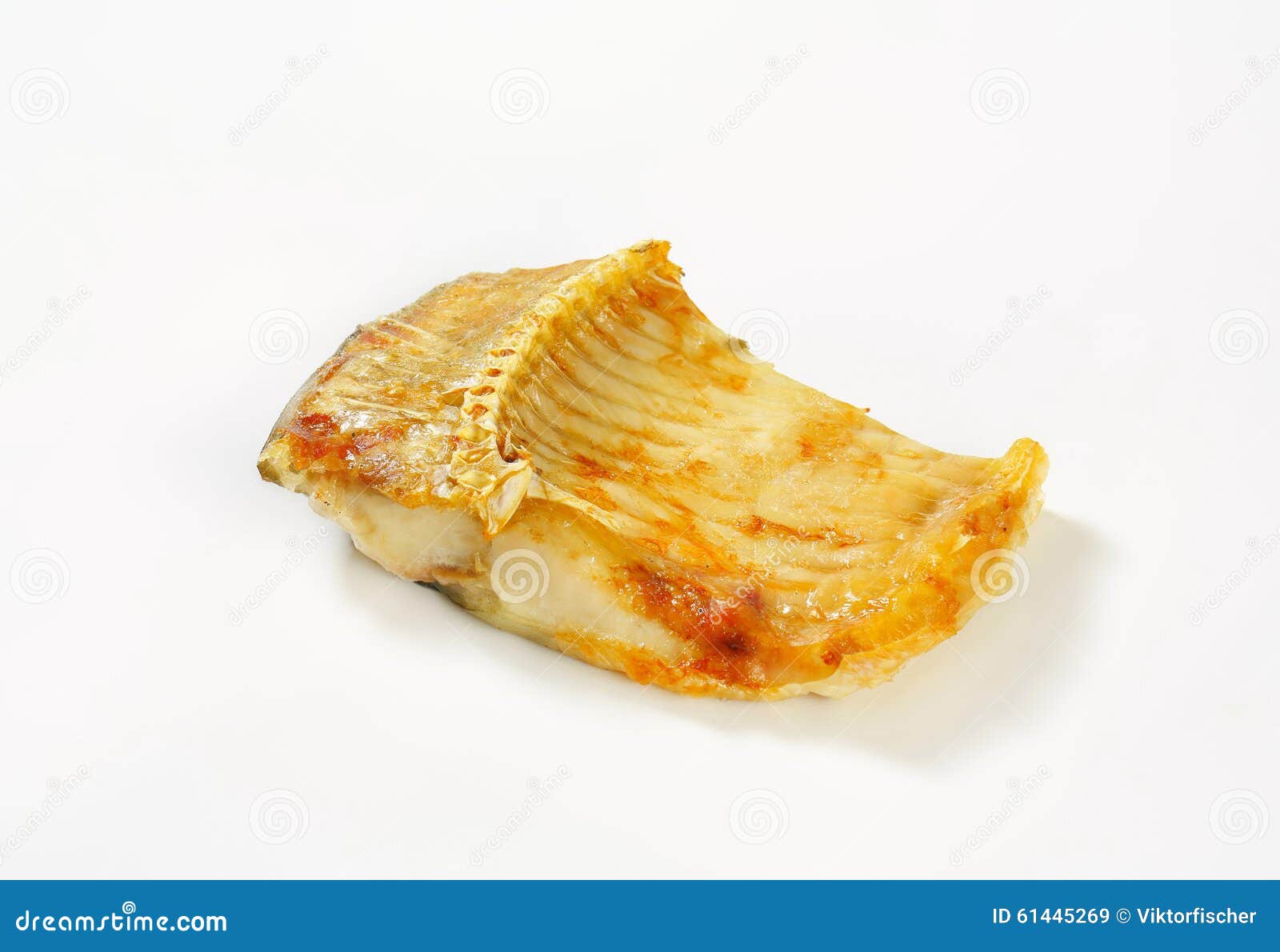 Roasted carp fillet stock image. Image of healthy, fillet - 61445269