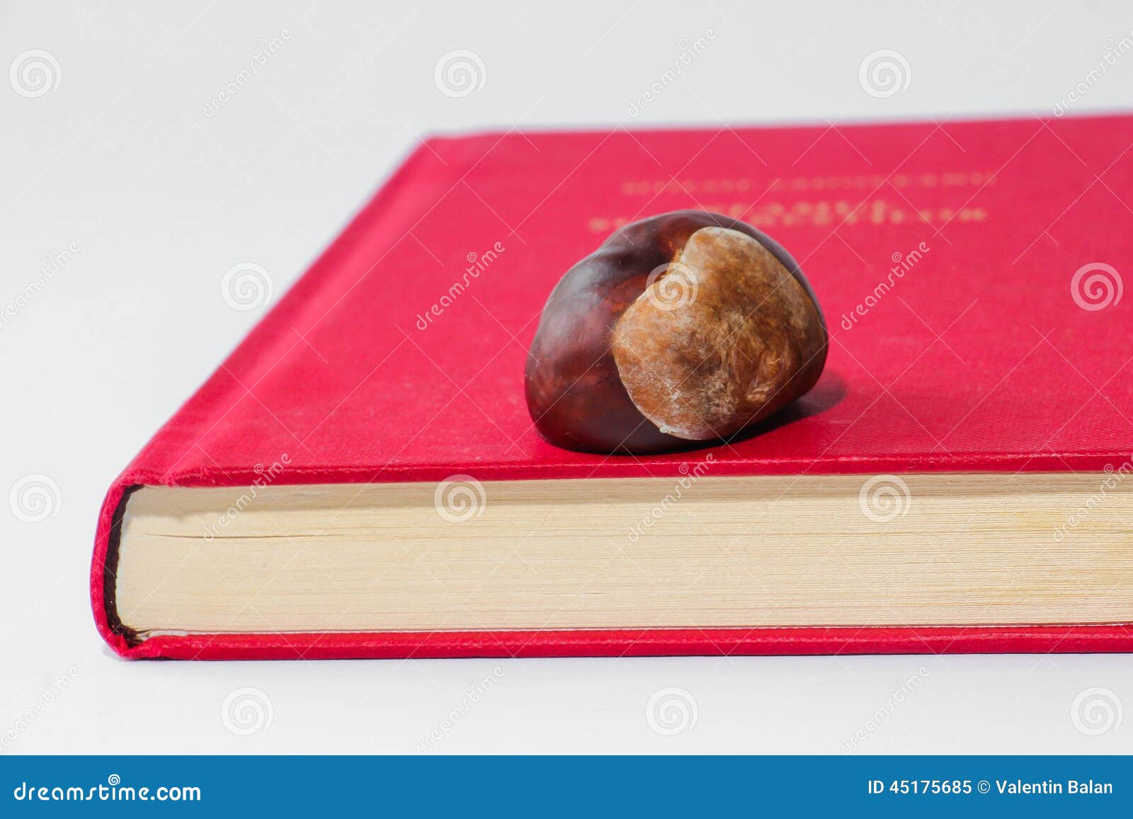 Roasted chestnuts stock image. Image of tasty, group - 45175685
