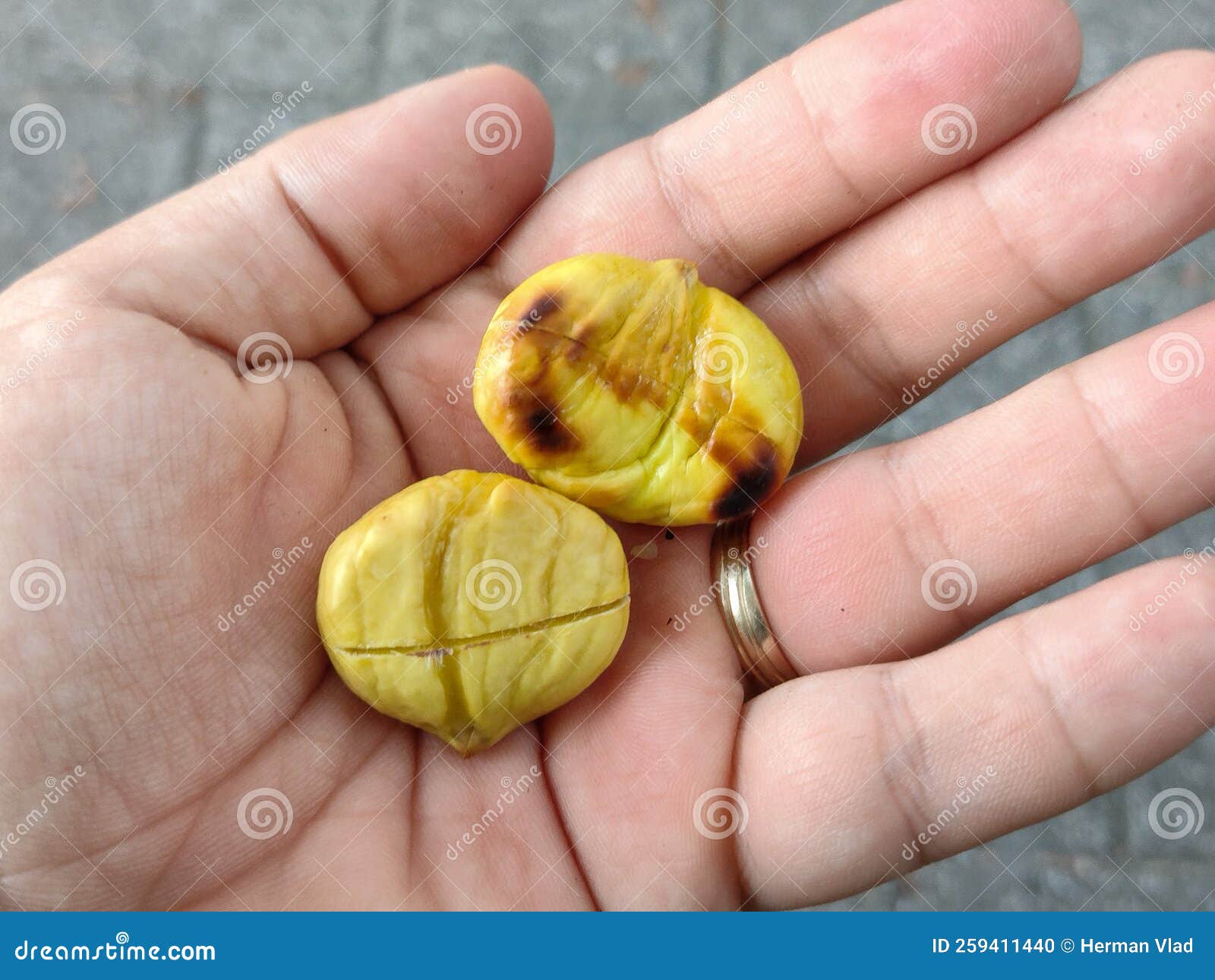 Roasted Chestnuts Kernel in a Hand Stock Photo - Image of roasted, hand ...