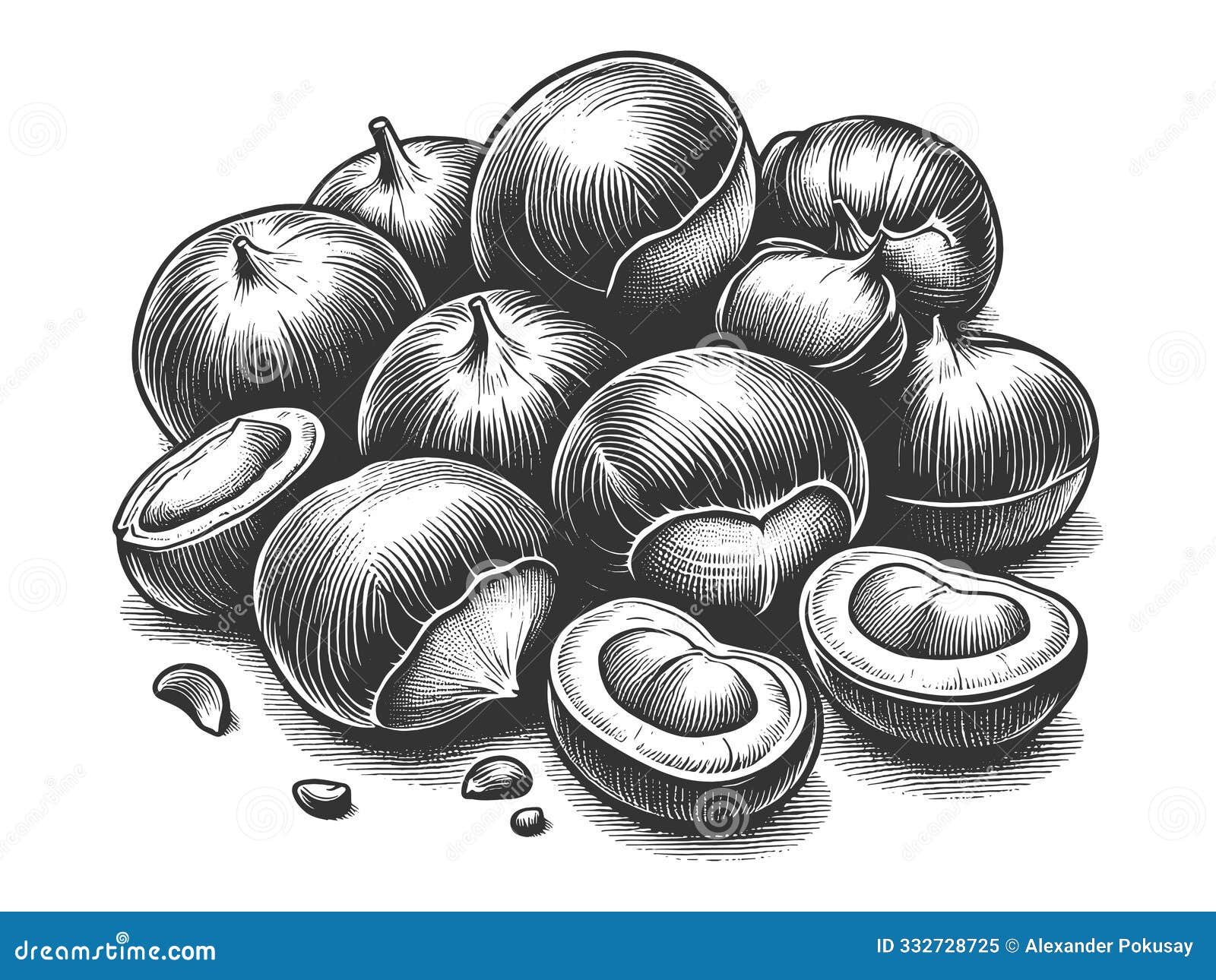 Roasted Chestnuts Vector Illustration Stock Illustration - Illustration ...