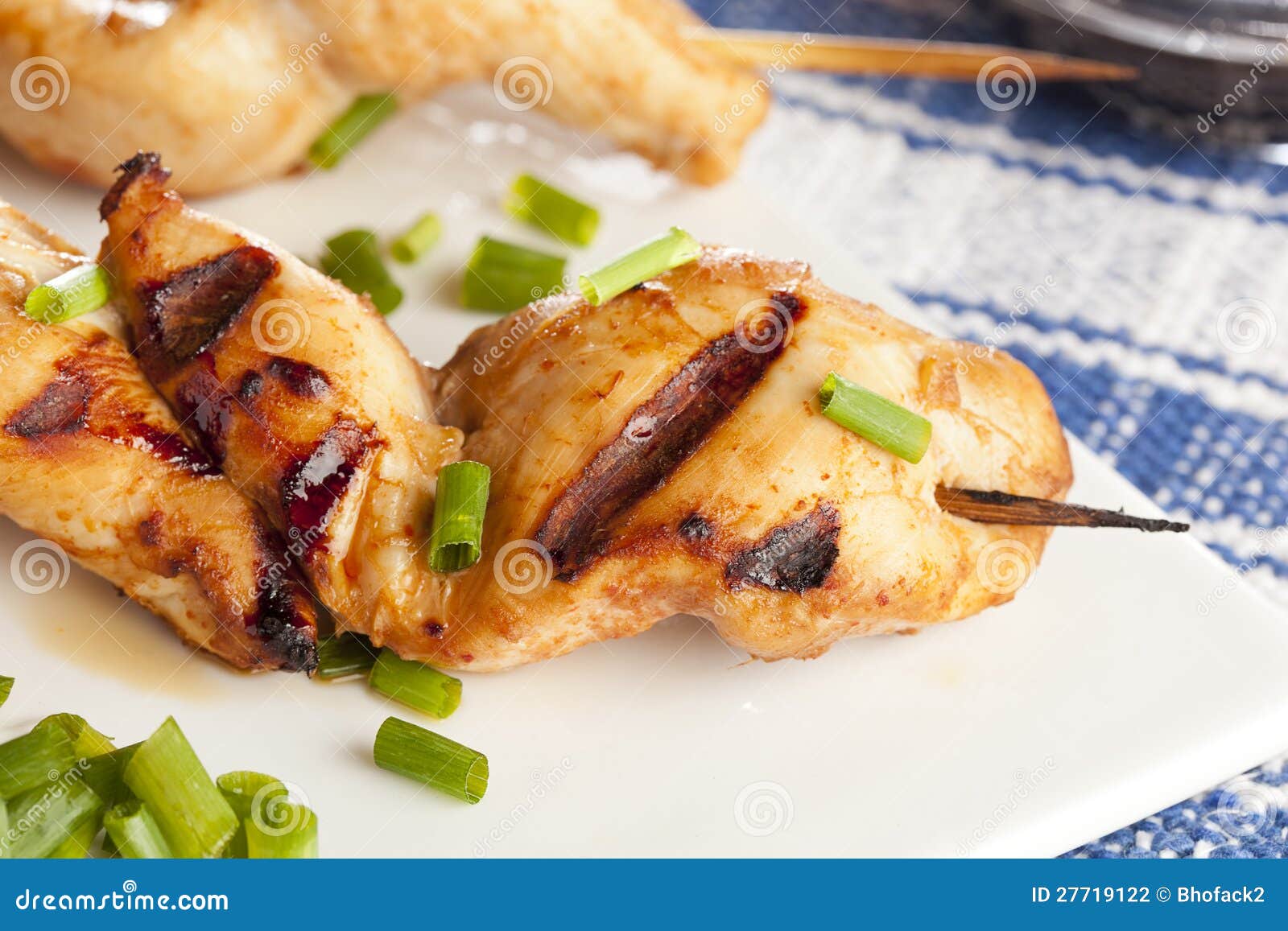 Roasted Chicken Kebab stock photo. Image of skewer, satay - 27719122