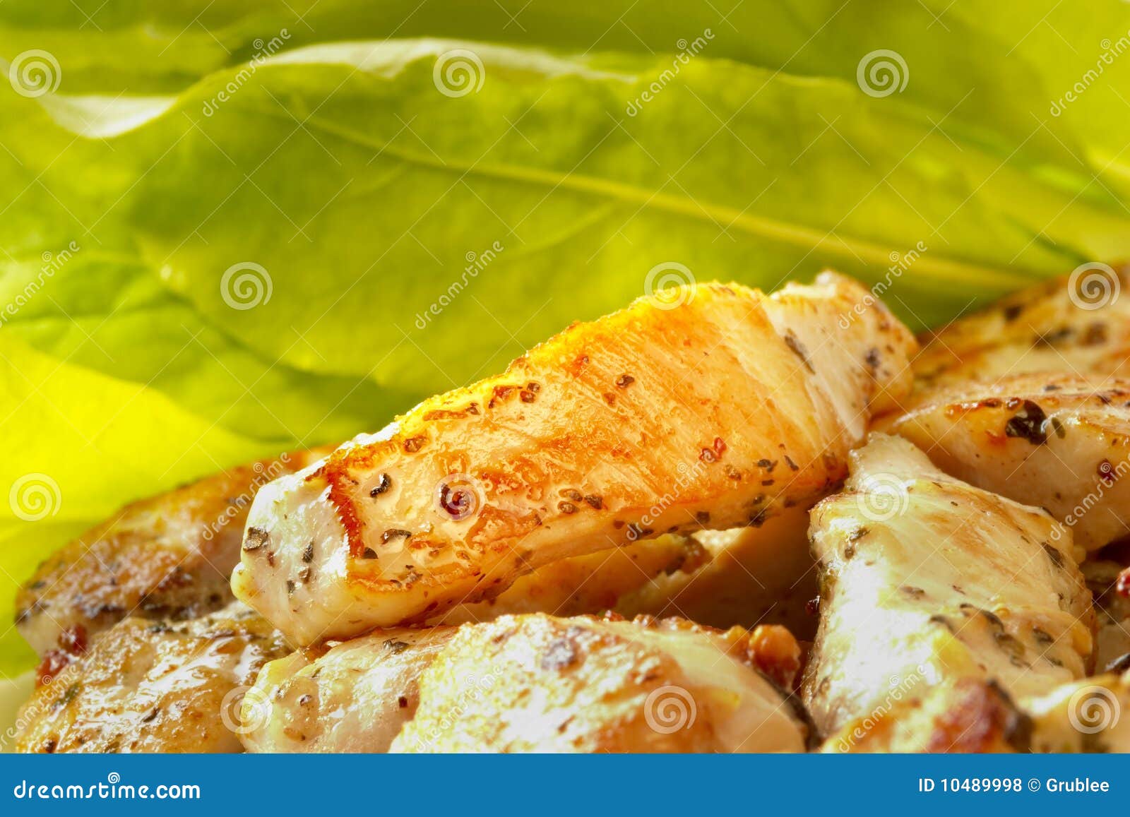 Roasted chicken slice stock photo. Image of appetite - 10489998