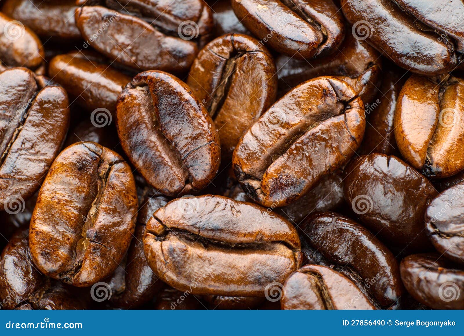 Roasted coffee arabica stock photo. Image of heap, beans - 27856490