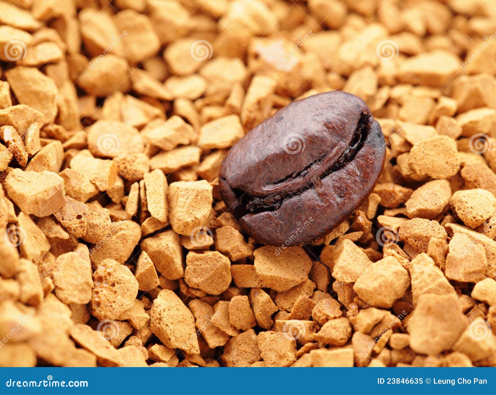 Roasted Coffee Bean and Coffee Powder Stock Image - Image of brown ...