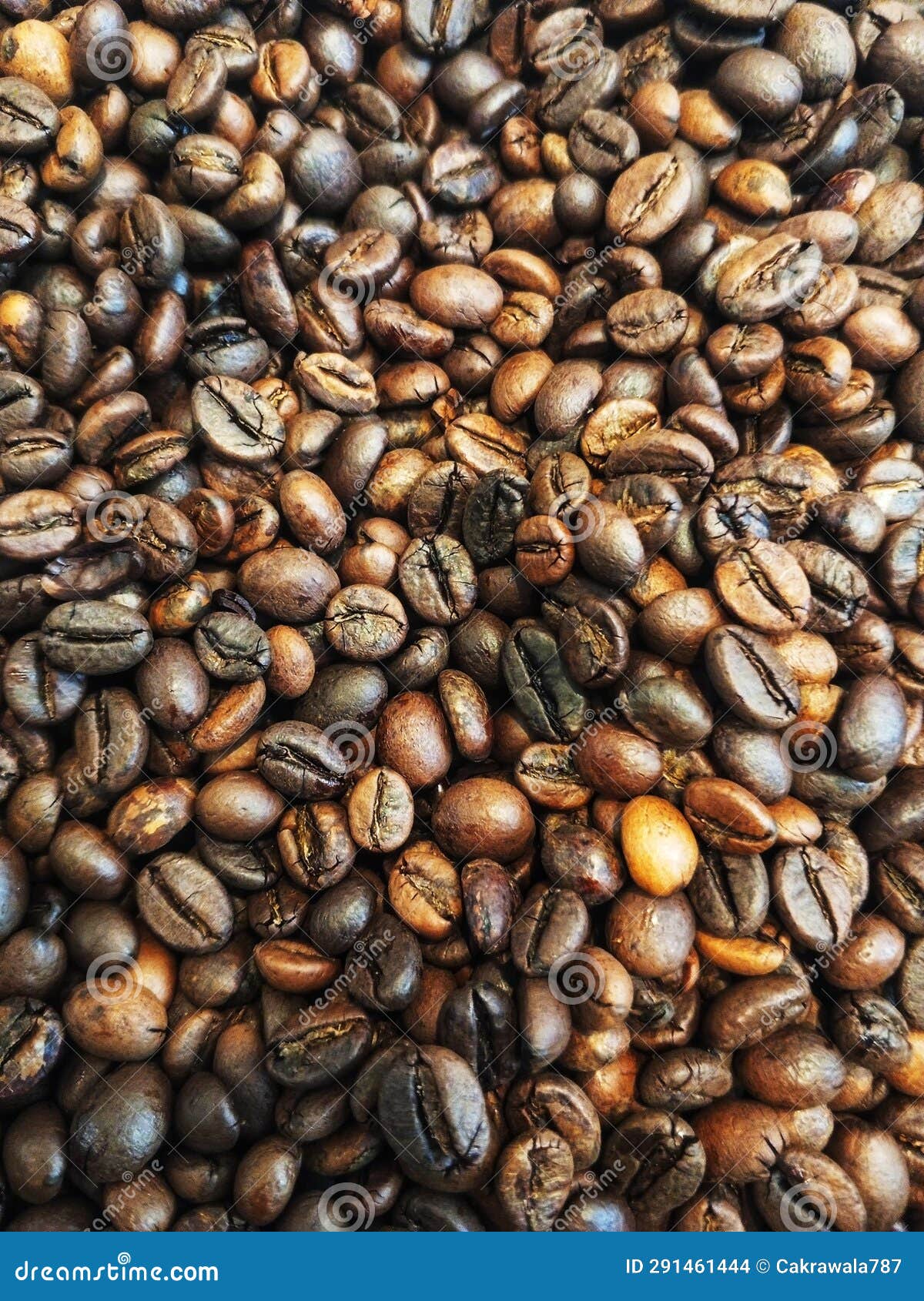 Roasted Coffee Beans, Arabica Variety Stock Photo - Image of roasted ...