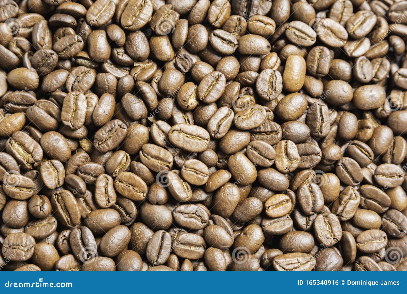 Roasted Coffee Beans stock photo. Image of aroma, barista - 165340916