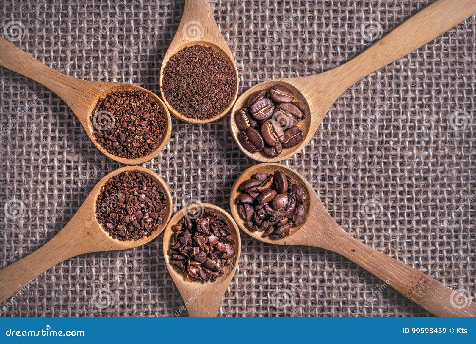 Roasted Coffee Beans stock image. Image of stages, caffeine - 99598459