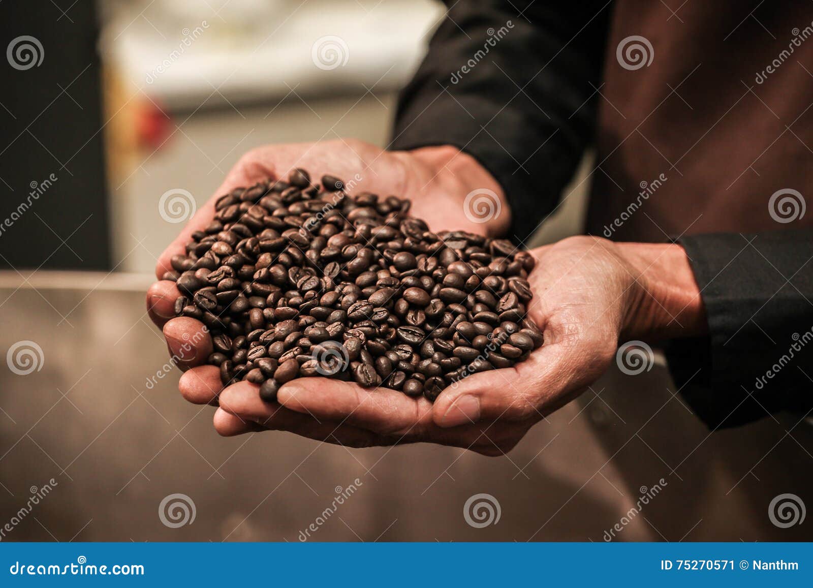 Roasted Coffee Beans in Hands Stock Image - Image of hand, addictive ...