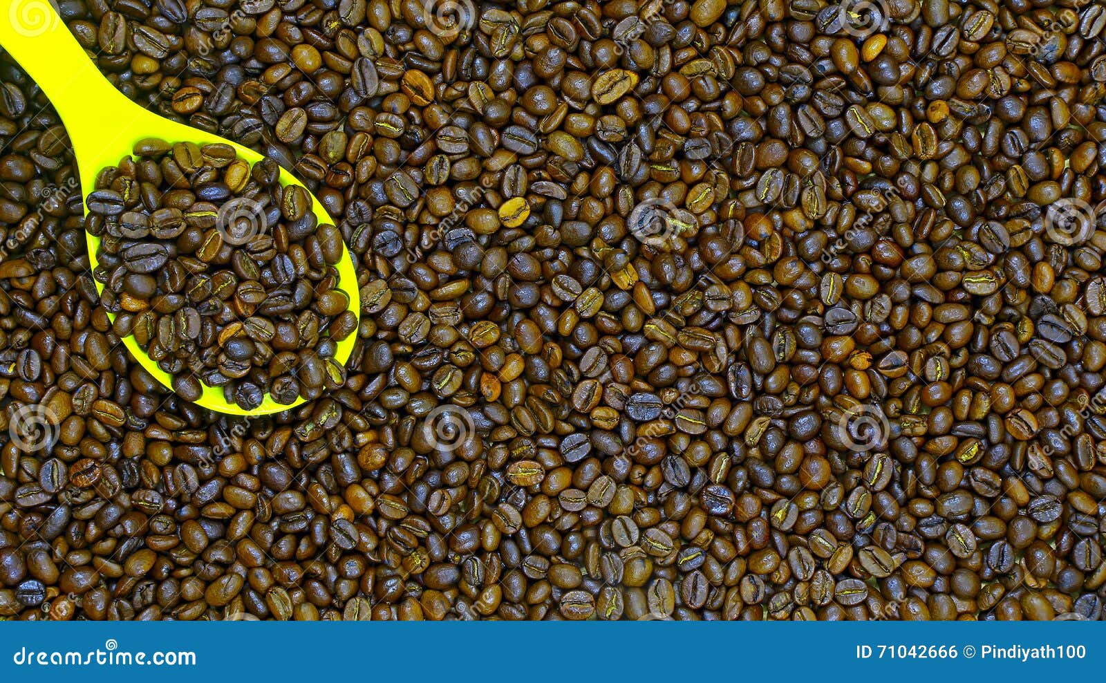 Roasted Coffee Beans and Ladle Stock Photo - Image of food, organic ...