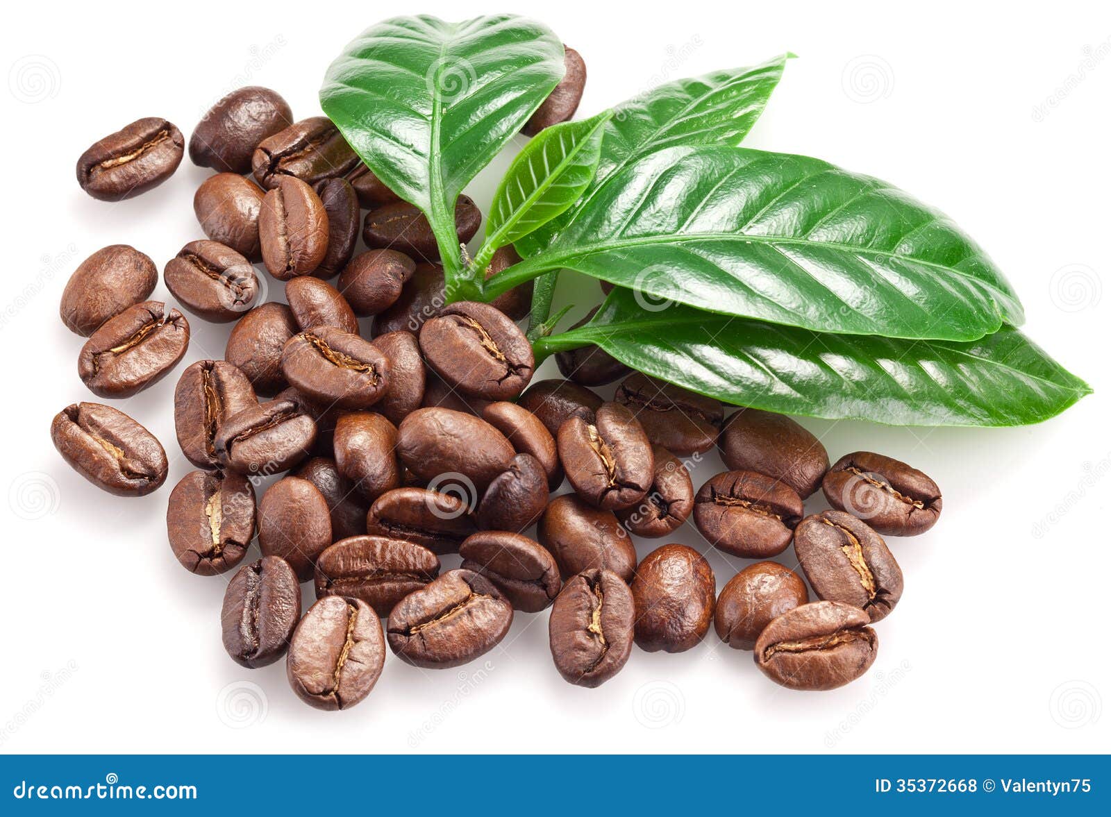 Roasted Coffee Beans and Leaves. Stock Photo - Image of background ...