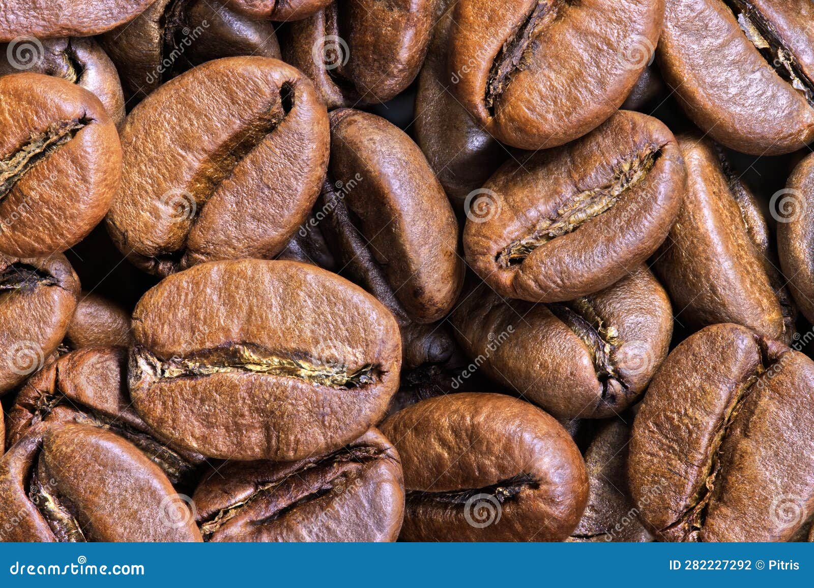 Roasted Coffee Beans. Macro Focus Stacking Stock Photo - Image of macro ...