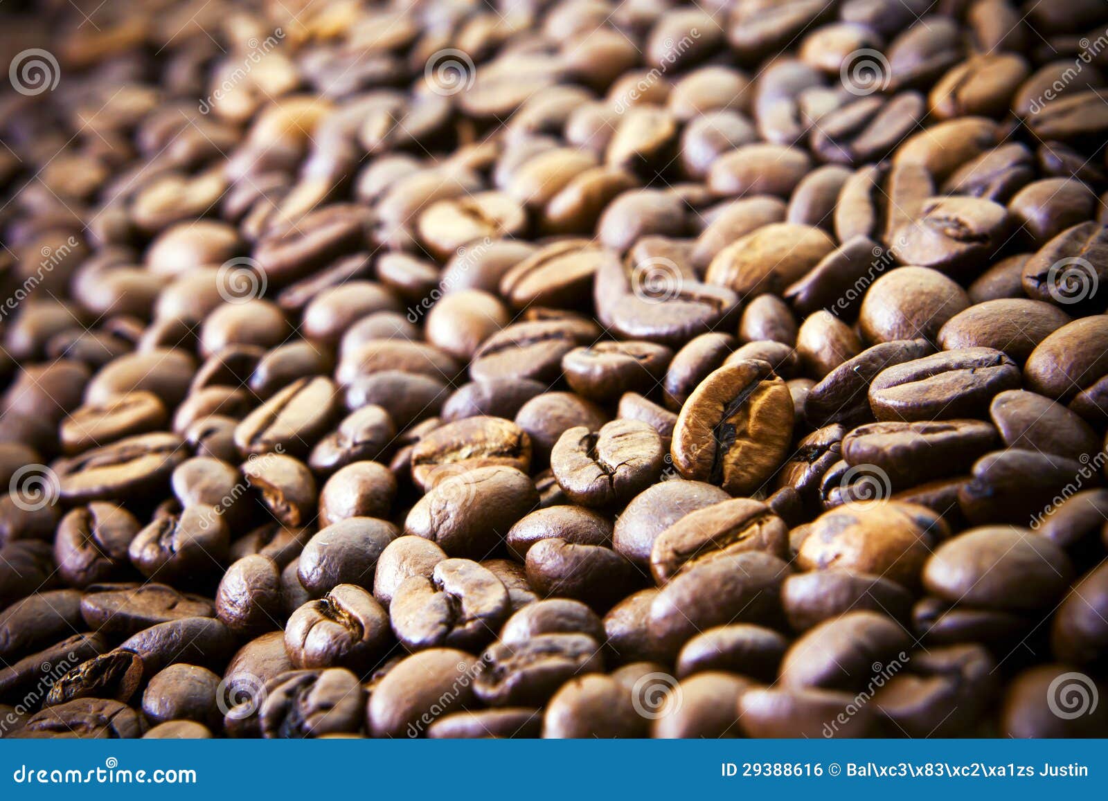 With Roasted Coffee Beans Pouring Each Other. Stock Photo - Image of ...