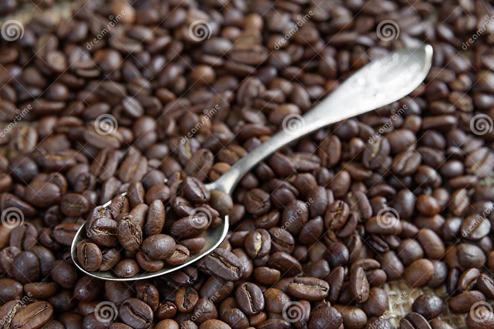 Roasted Coffee Beans and Teaspoon Stock Photo - Image of dark, close ...