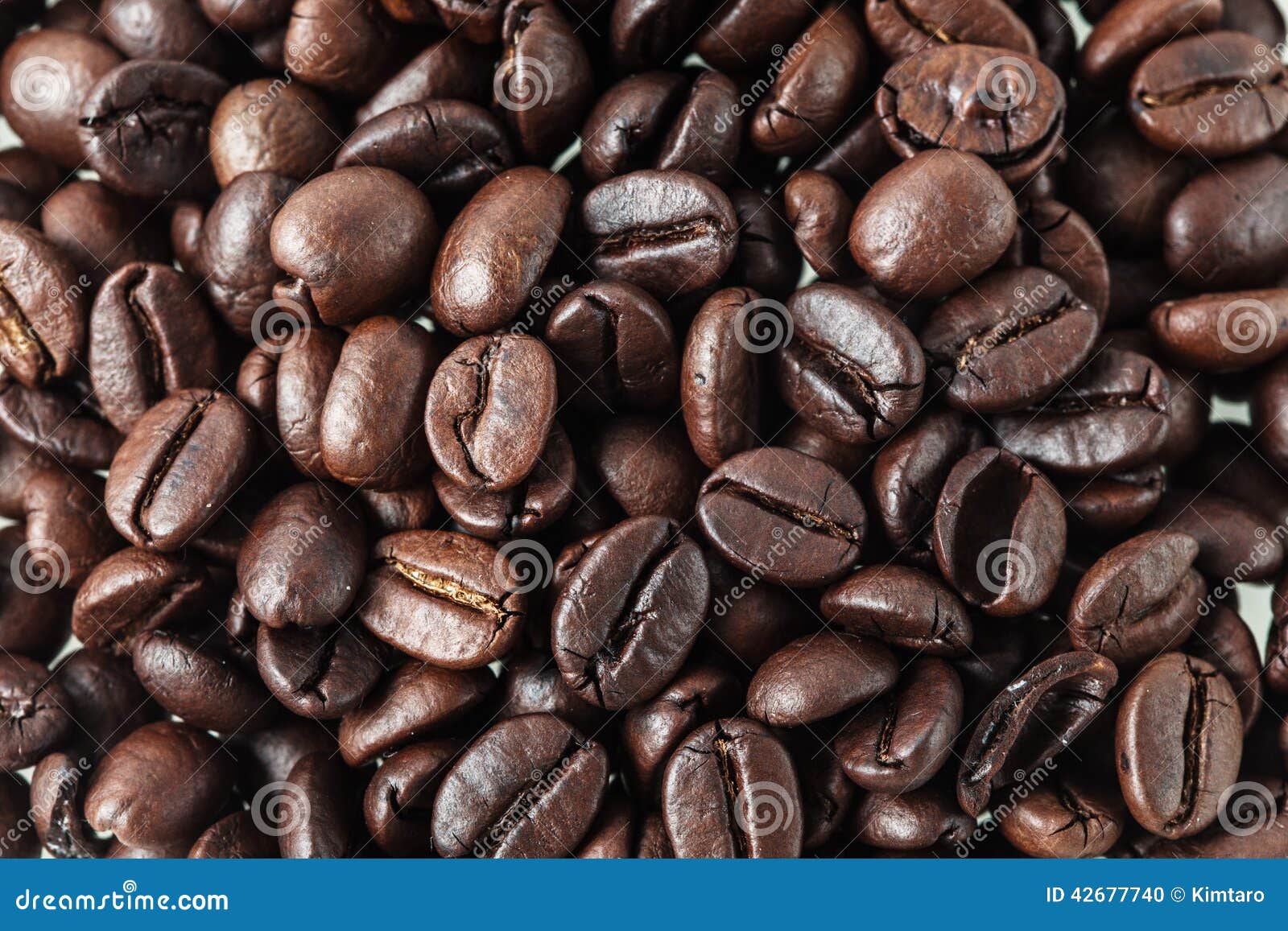 Roasted Coffee Seed for Fresh Coffee Stock Photo - Image of arabica ...