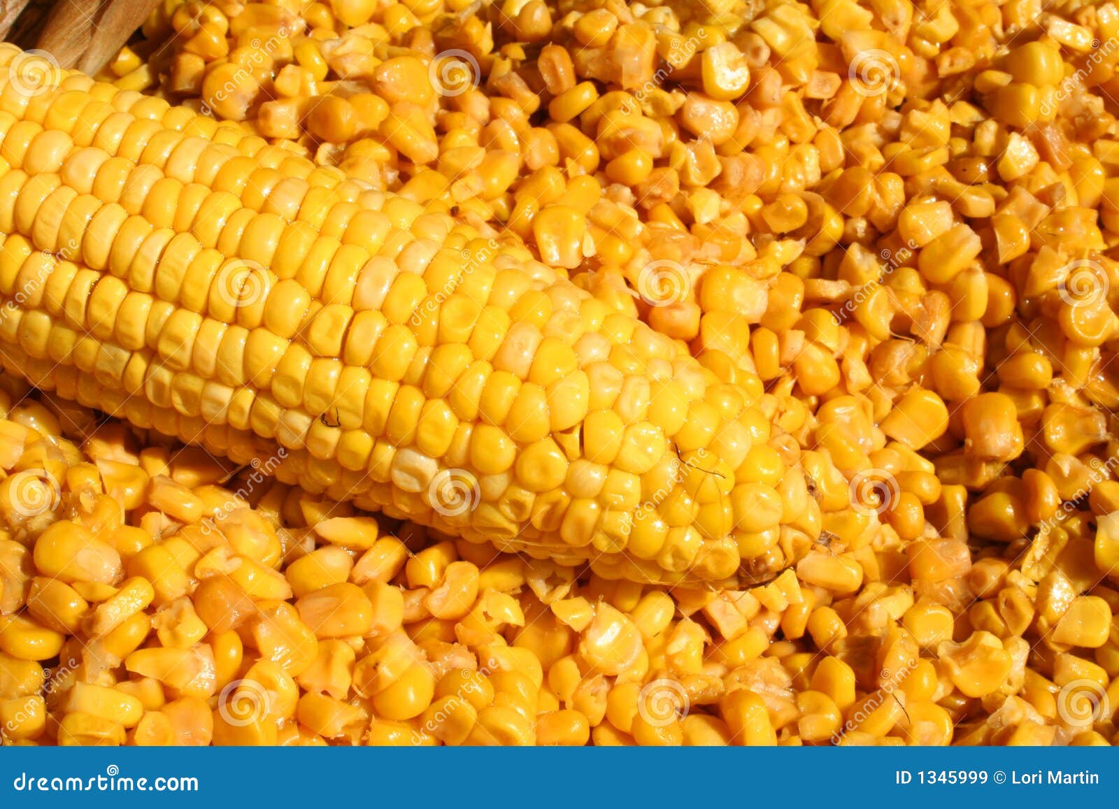 Roasted Corn stock image. Image of fiber, good, roasted - 1345999