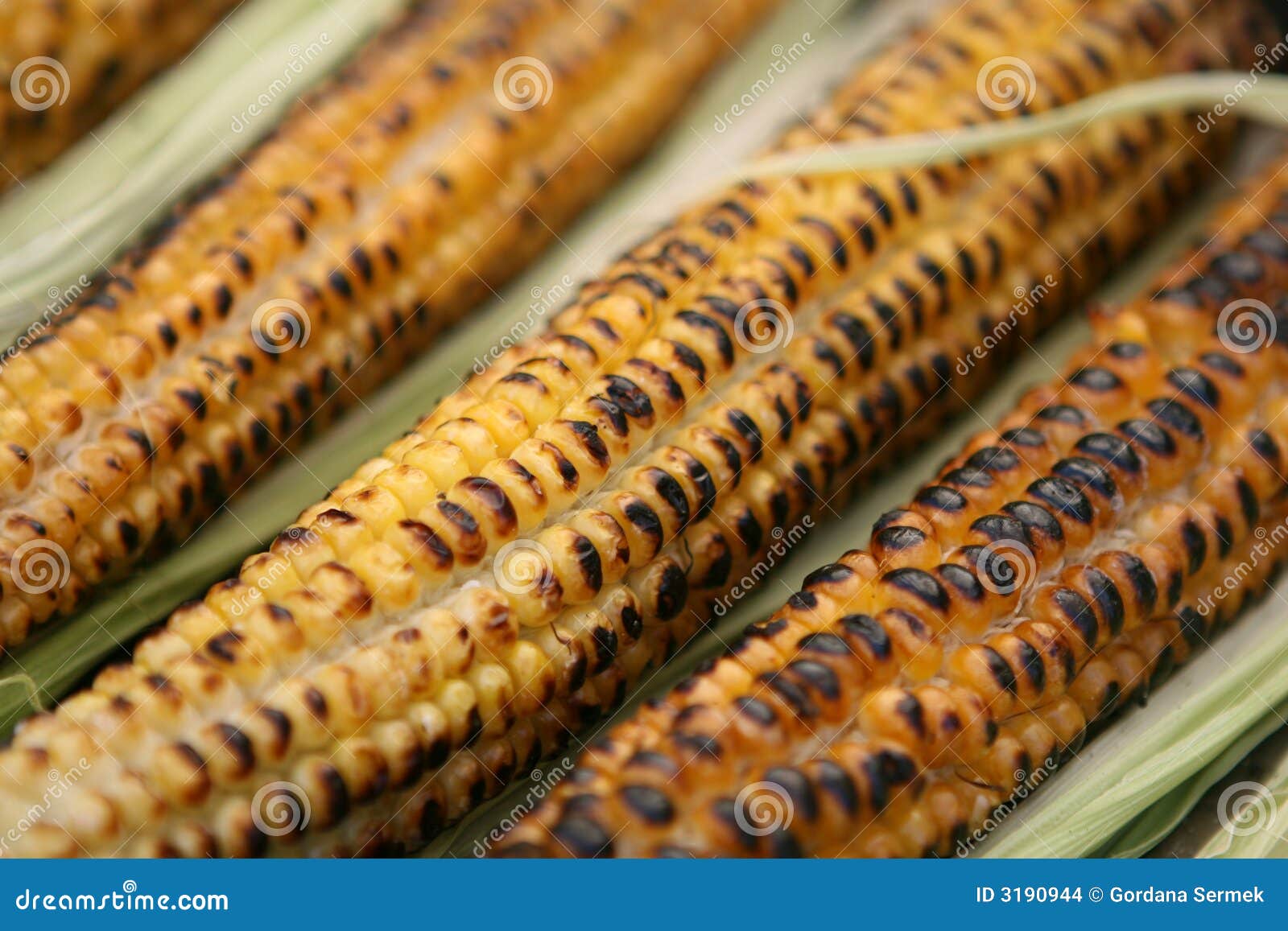 Roasted corn stock photo. Image of piece, grilled, botanical - 3190944