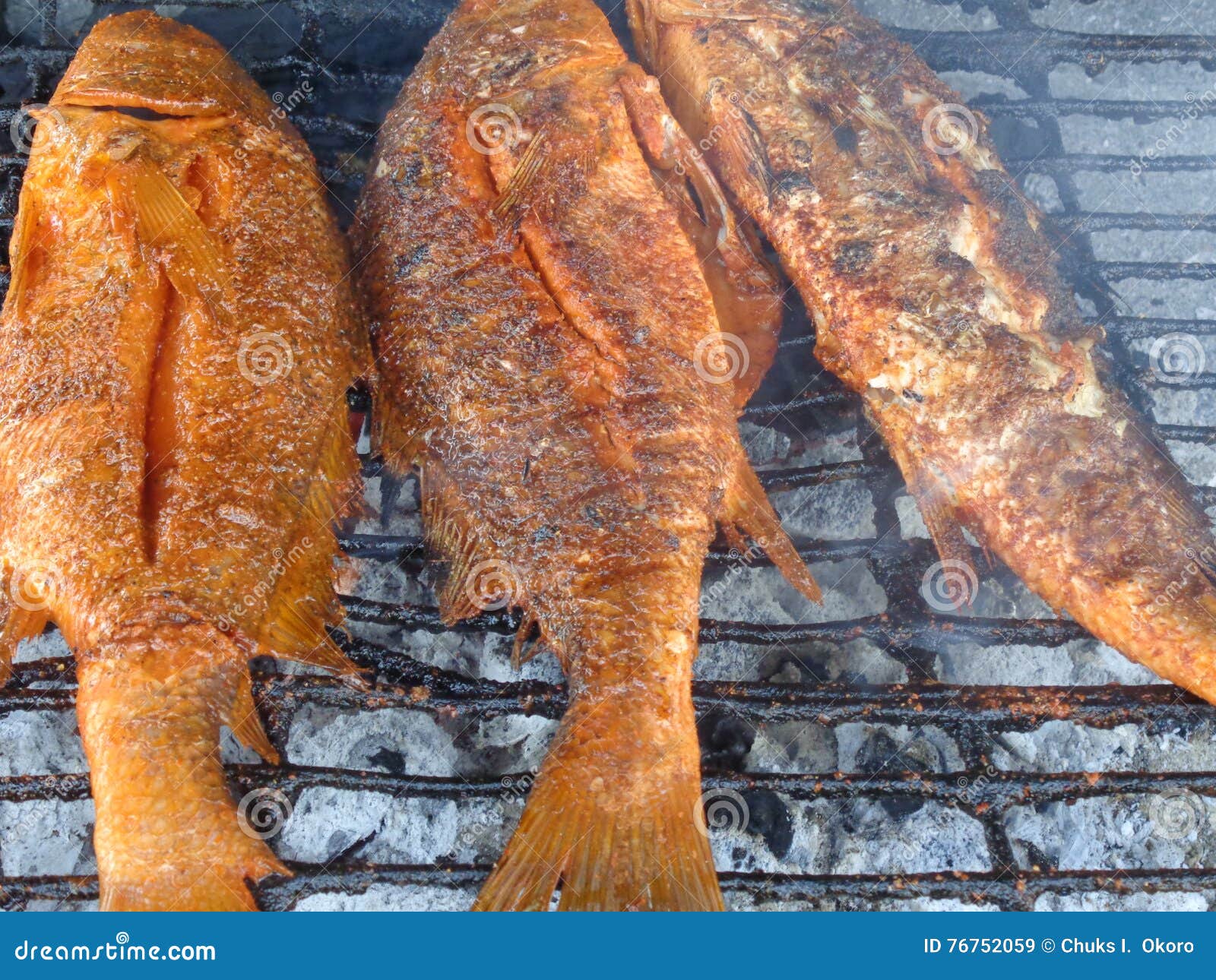 Roasted crocker fish stock image. Image of pattern, charcoal - 76752059