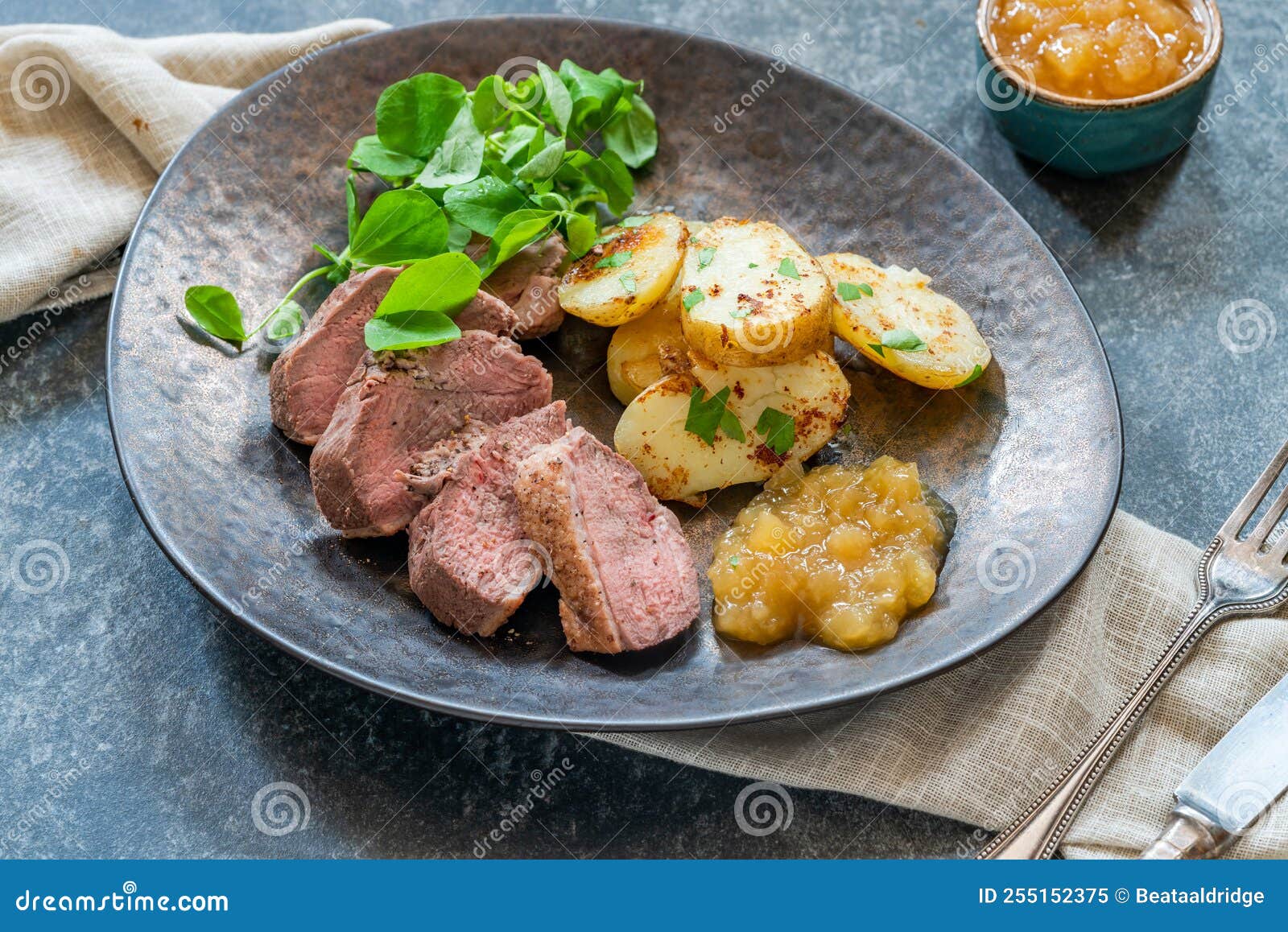 Roasted Dack with Apple Sauce Stock Image - Image of menu, apple: 255152375