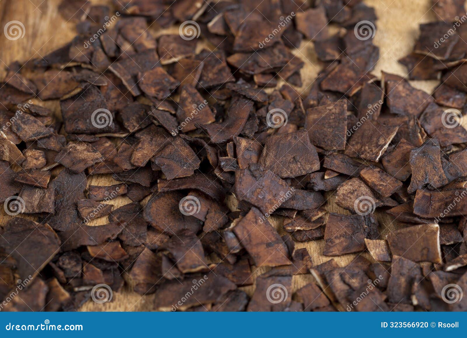 Roasted and Dried in Chocolate and Cocoa Coconut Pulp Stock Photo ...