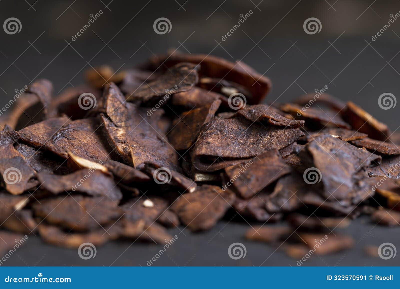 Roasted and Dried in Chocolate and Cocoa Coconut Pulp Stock Image ...