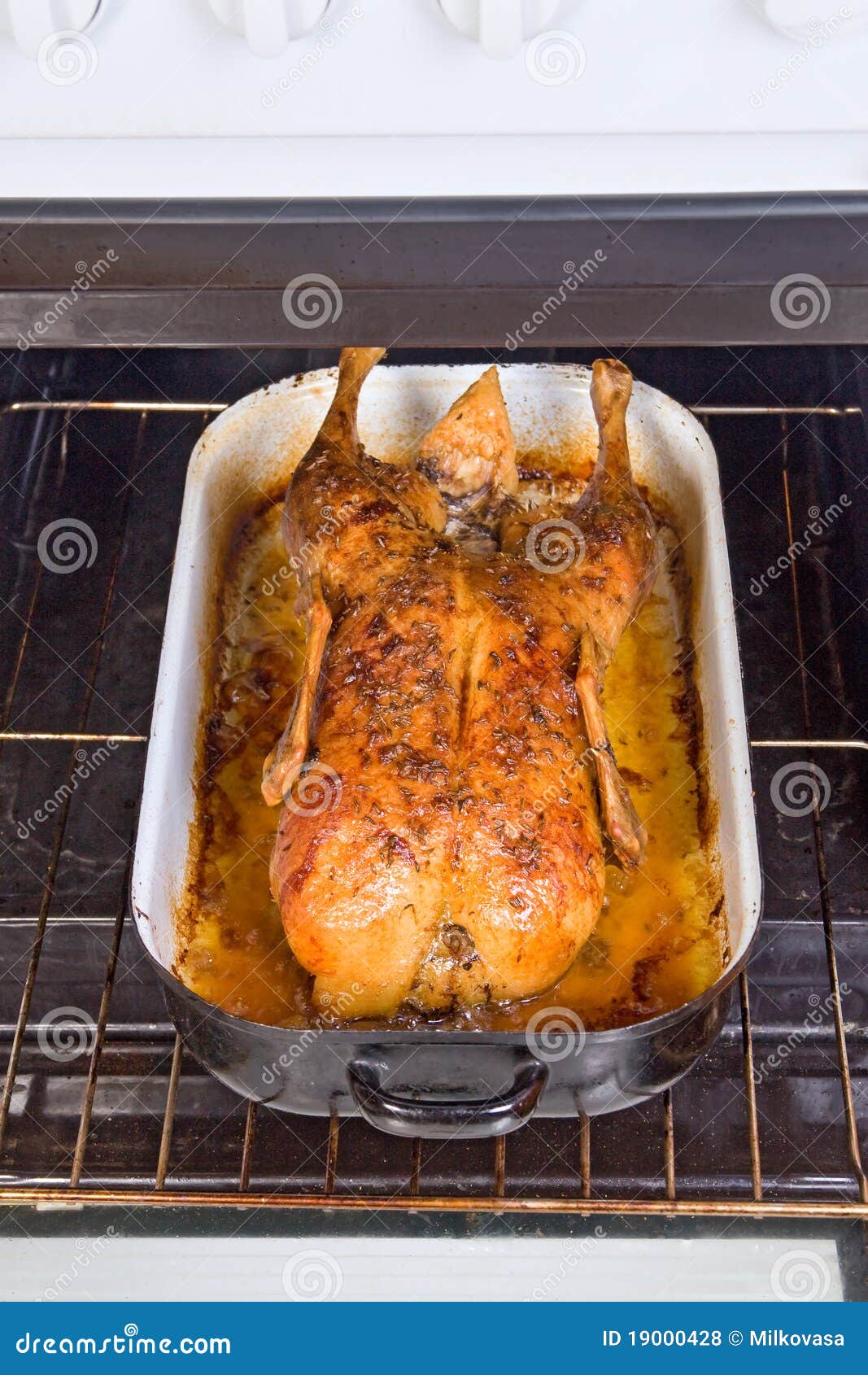 Roasted duck stock photo. Image of grilled, baked, oven - 19000428