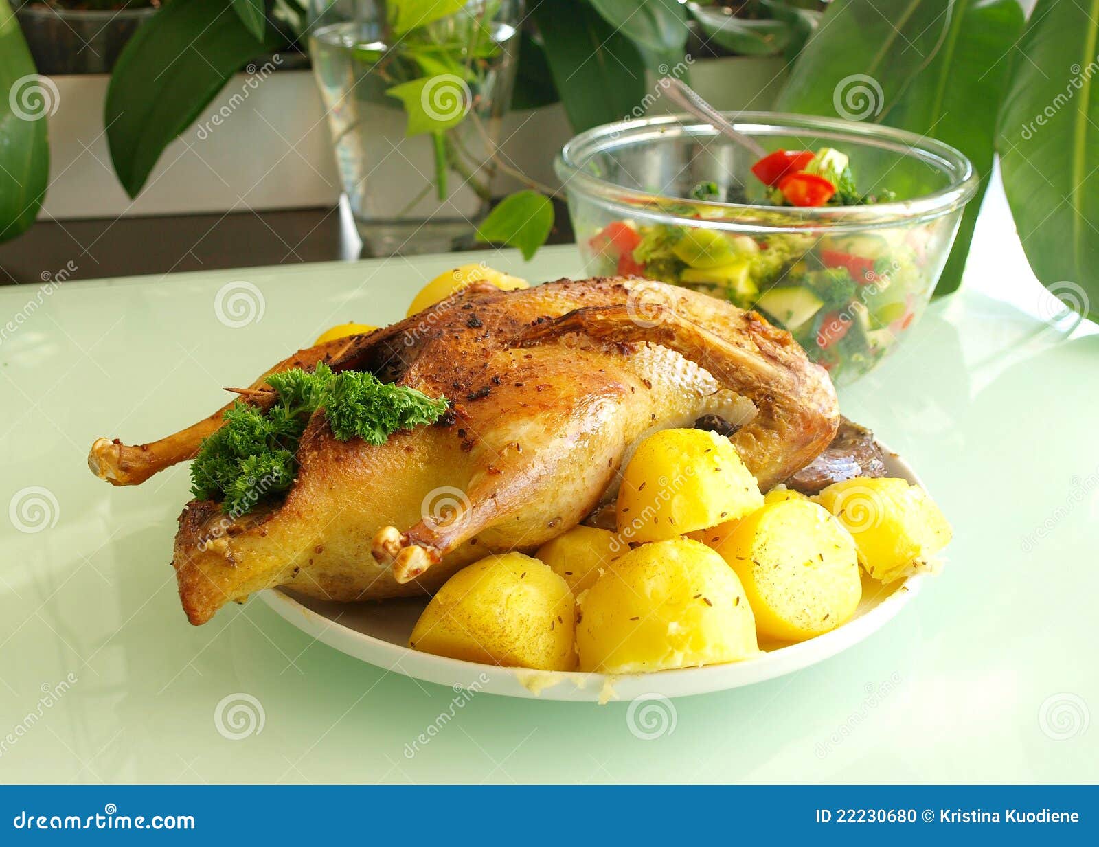 Roasted duck stock photo. Image of duck, herb, dining - 22230680