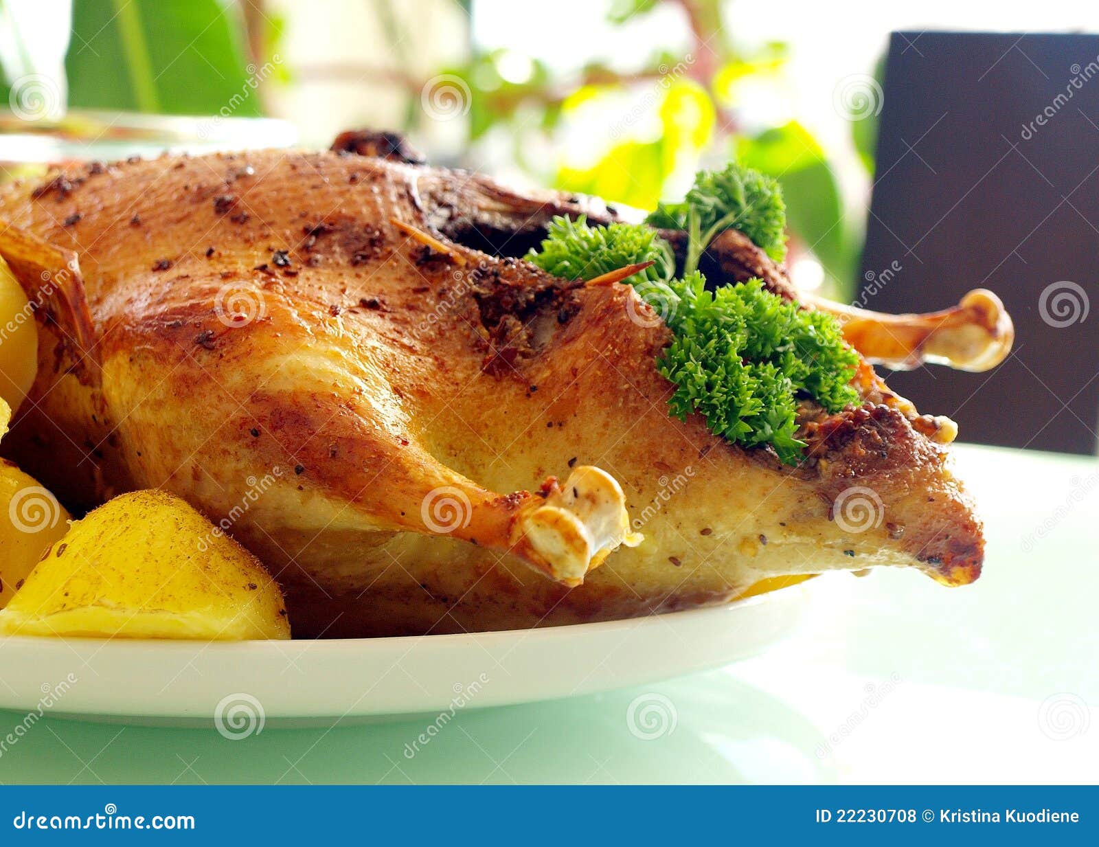 Roasted duck stock photo. Image of potatoes, herb, roast - 22230708