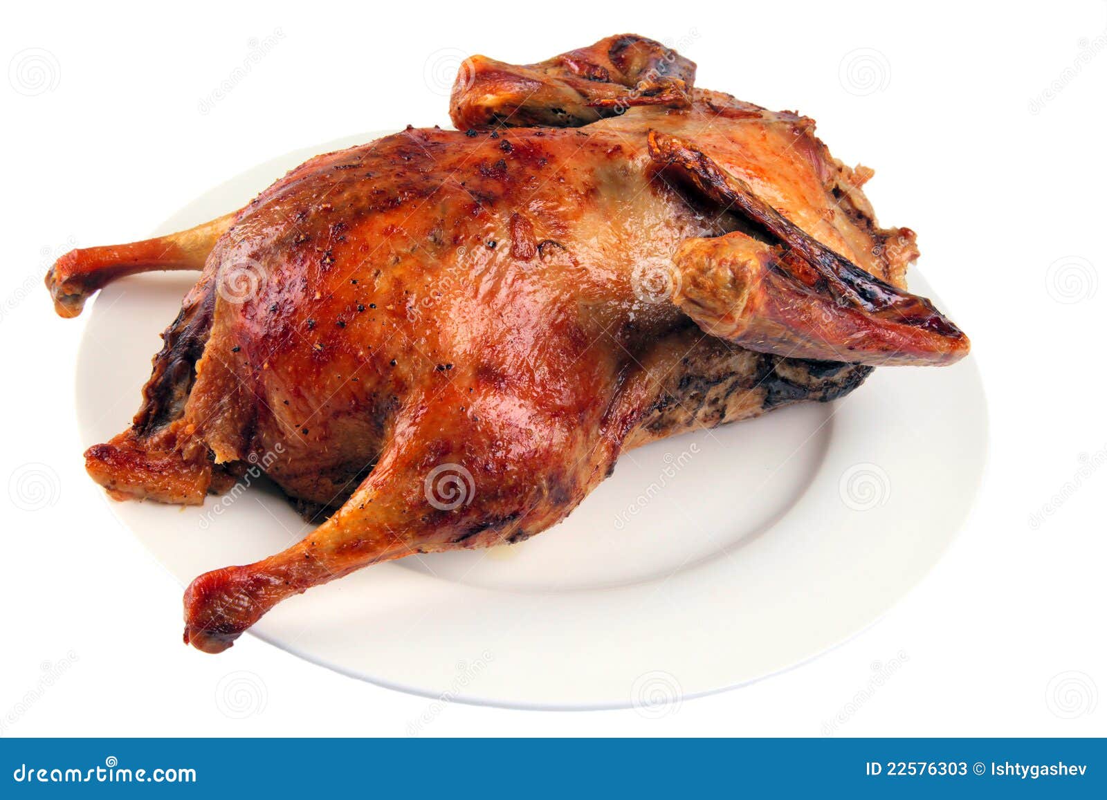 Roasted Duck stock image. Image of duck, cooked, oven - 22576303