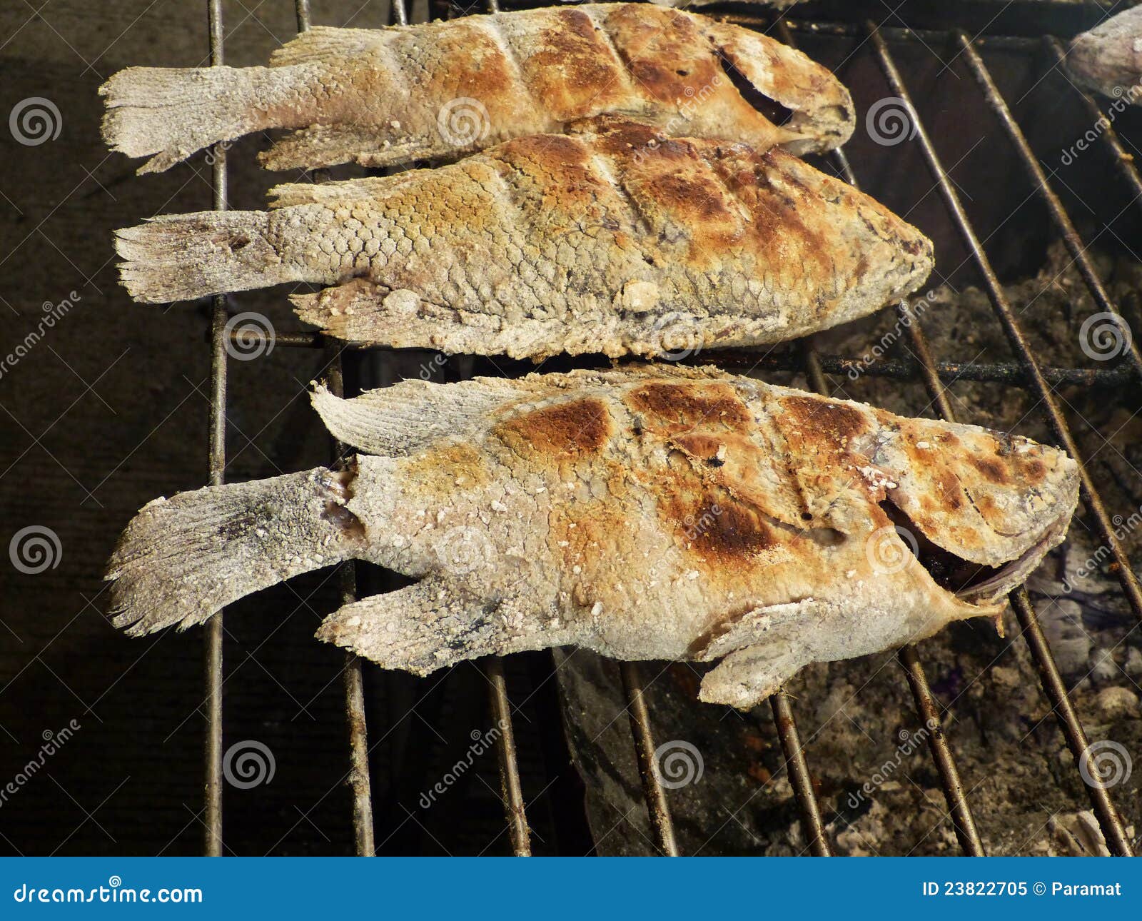 Roasted fish stock image. Image of restaurant, lunch - 23822705