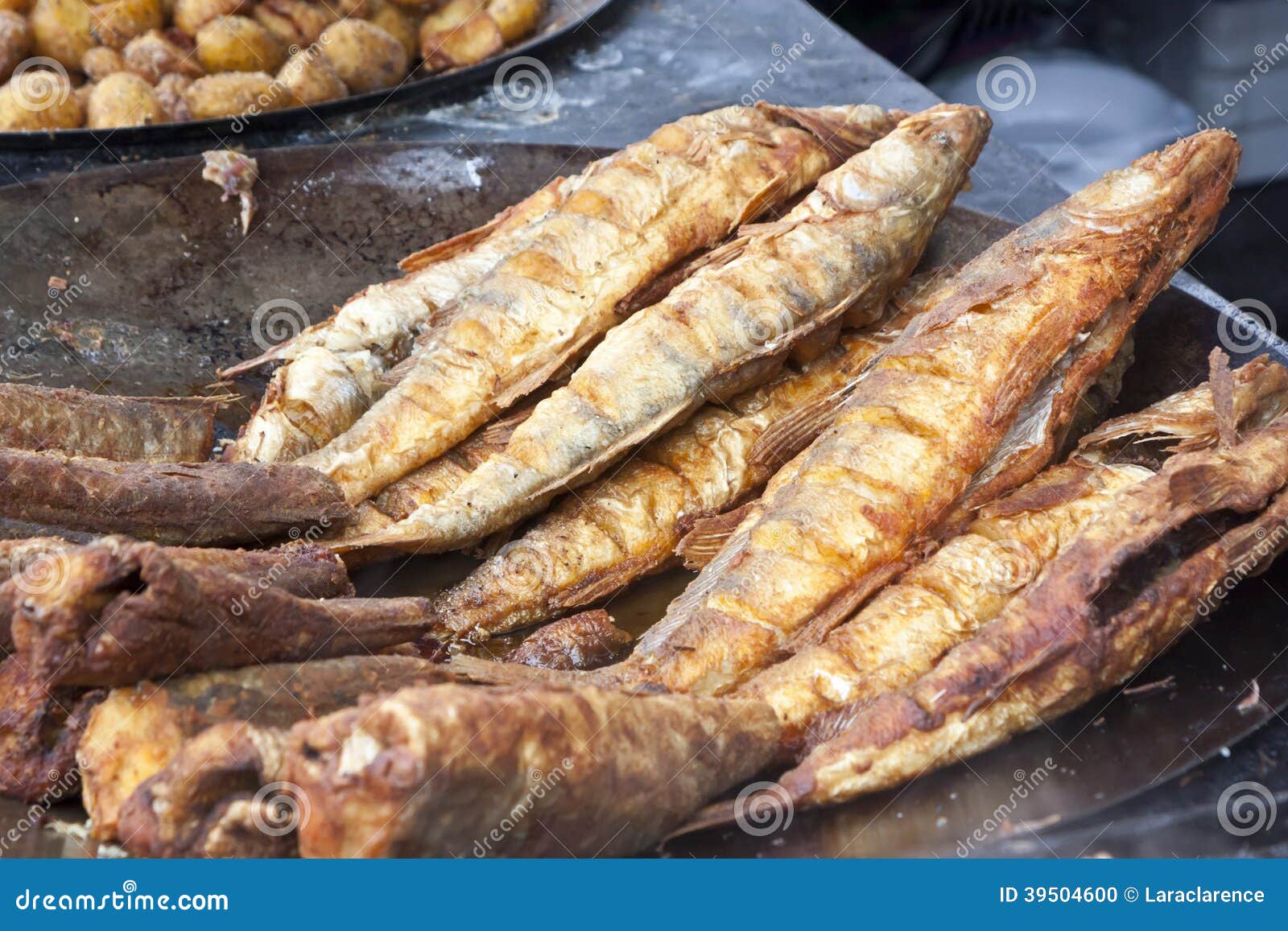 Roasted fish stock photo. Image of classic, hospitality - 39504600