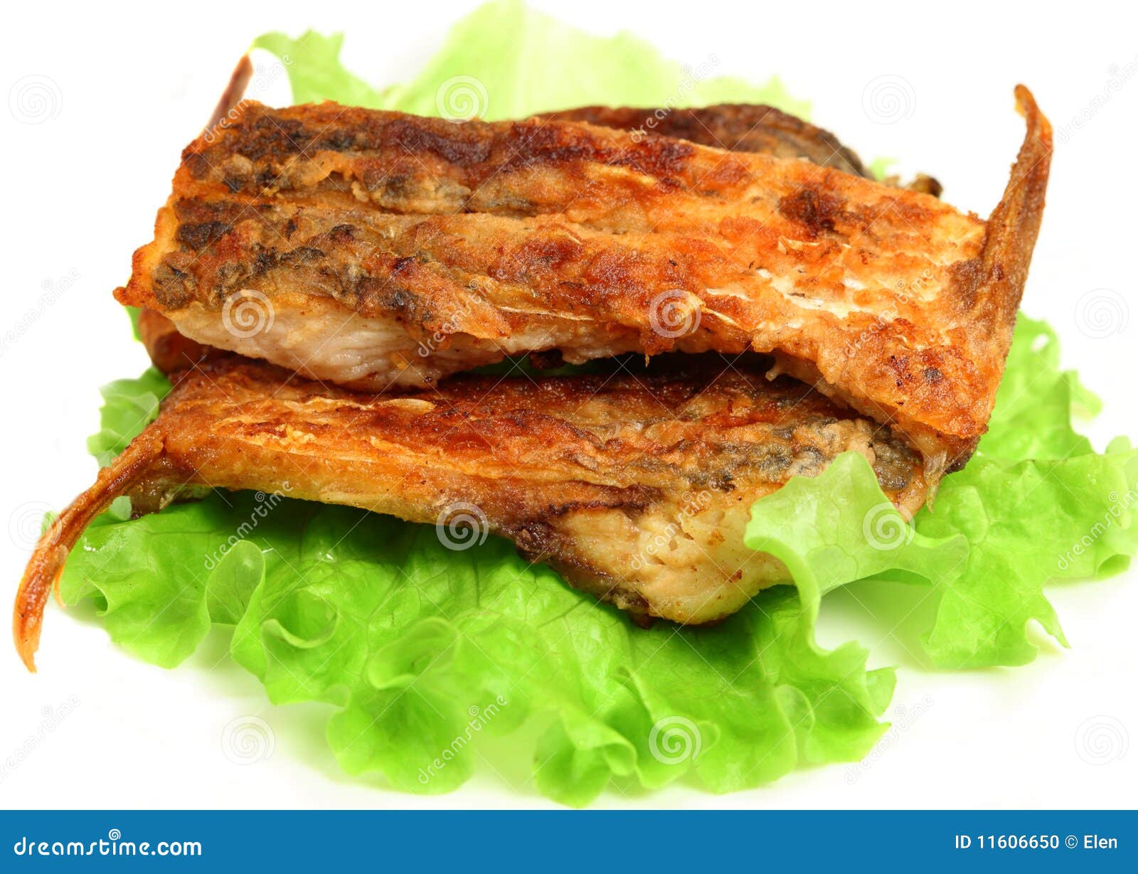 Roasted fresh bream stock photo. Image of roasted, tasty - 11606650
