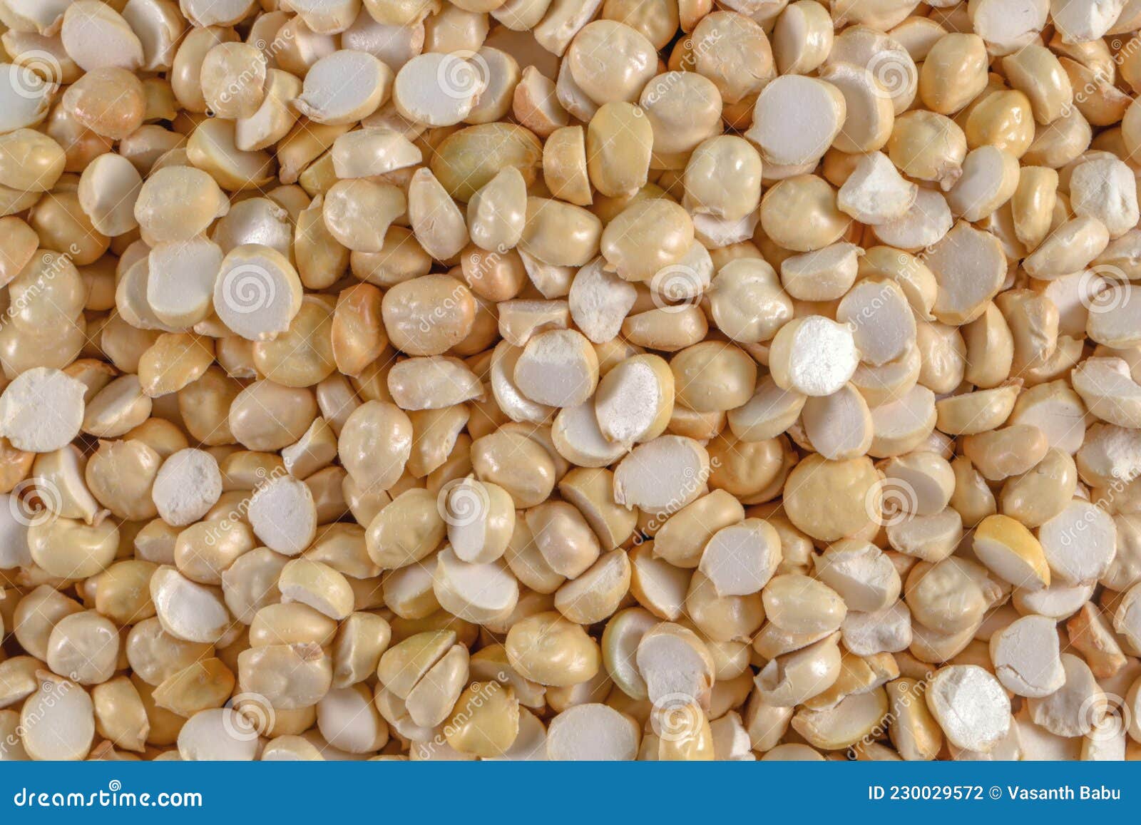 Roasted Gram, Roasted Bengal Gram, Roasted Split Gram Stock Photo ...