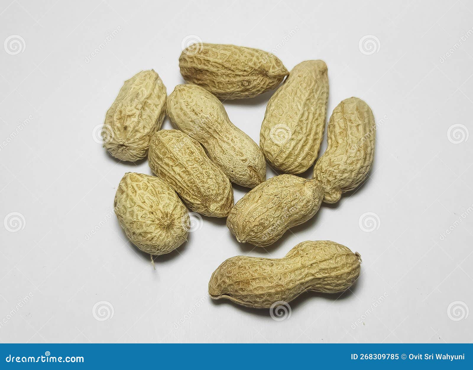 The roasted ground peanuts stock image. Image of vegetable - 268309785