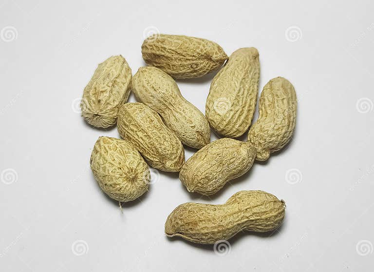 The roasted ground peanuts stock image. Image of vegetable - 268309785