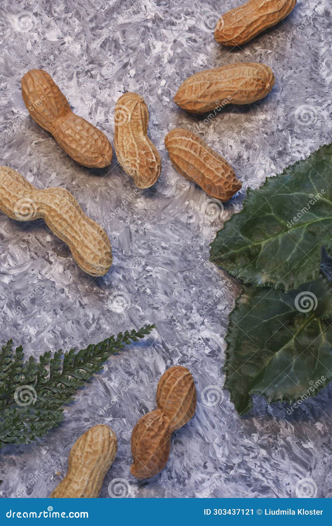 Delicious Roasted Peanuts in Shell on Gray Background Stock Image ...