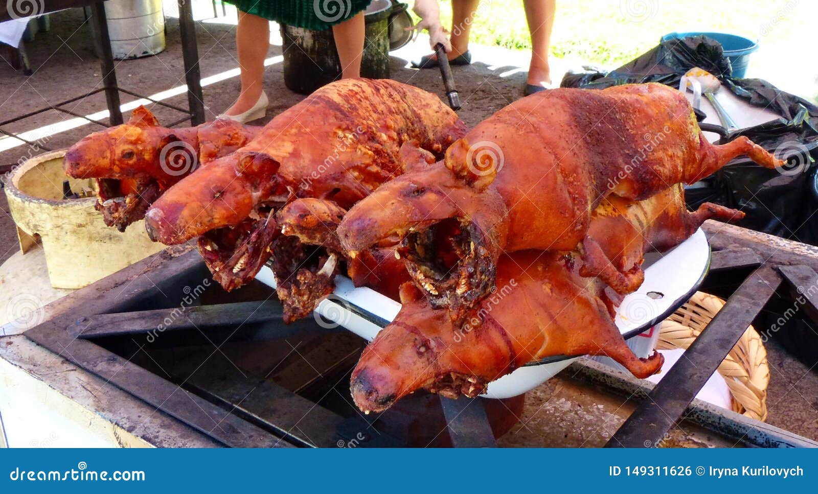 Roasted Guinea Pig, Traditional Meal In Peru Royalty-Free Stock Image ... Roasted Guinea Pig, Traditional Meal In Peru Royalty-Free Stock Image ...