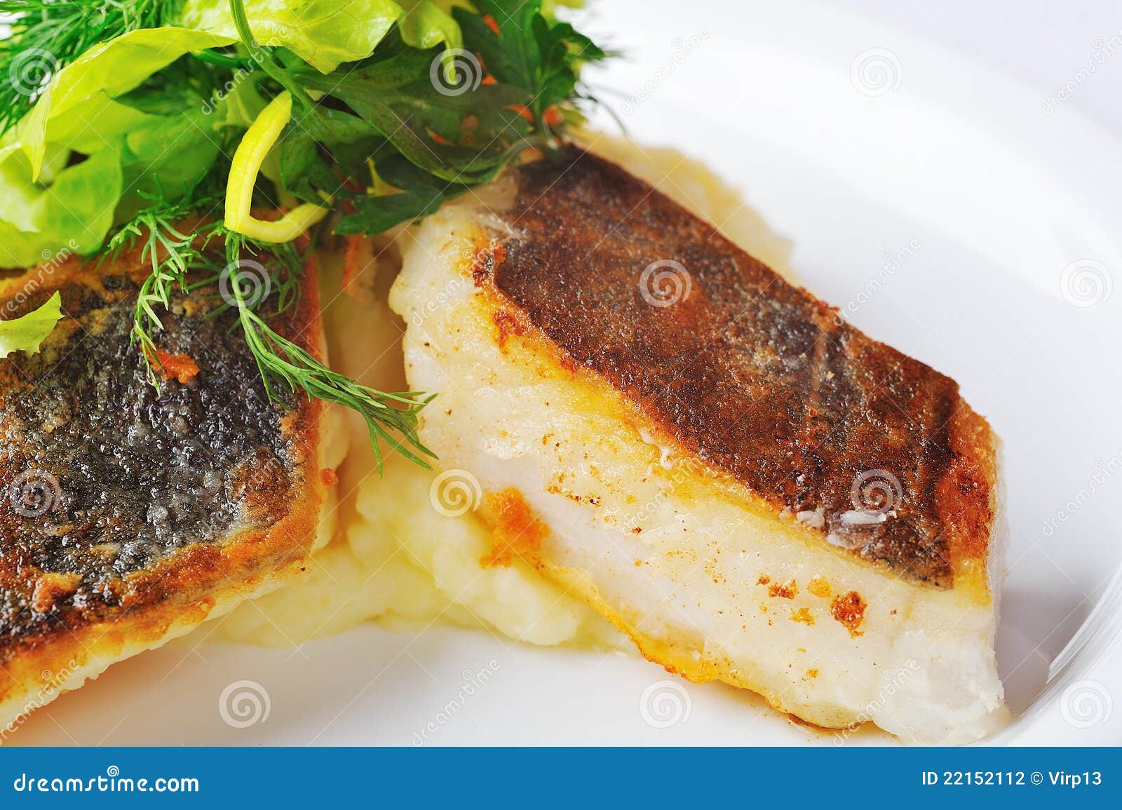 Roasted halibut stock photo. Image of healthy, vegetables - 22152112