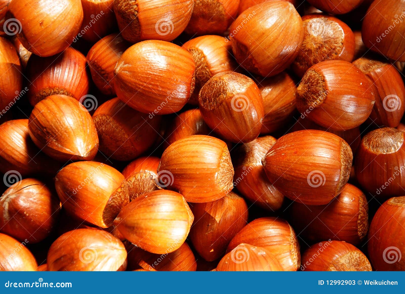 Roasted Hazelnut stock image. Image of broken, natural - 12992903