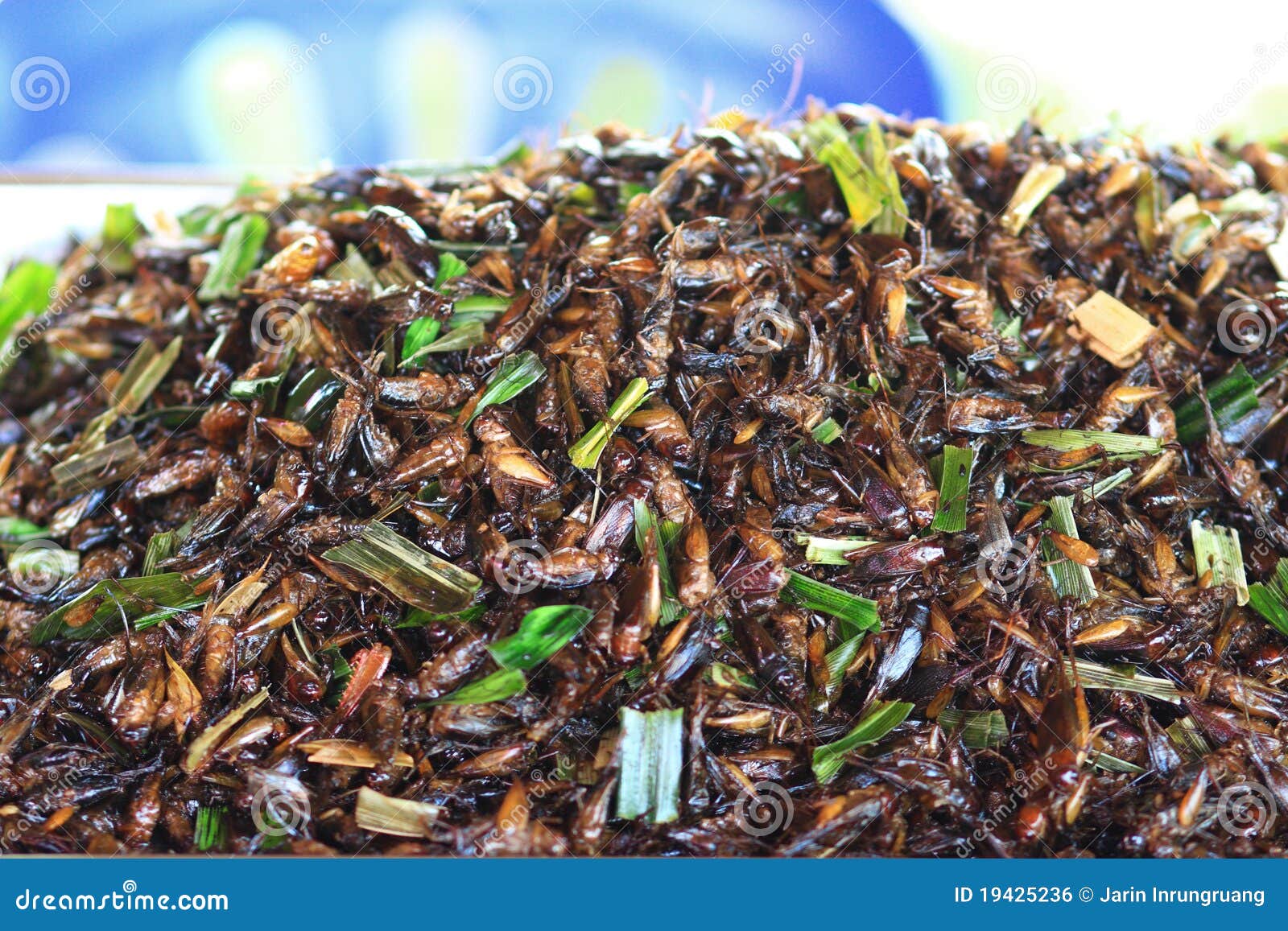 Roasted Insects, Grasshopper, Stock Photo - Image of culture, brown ...