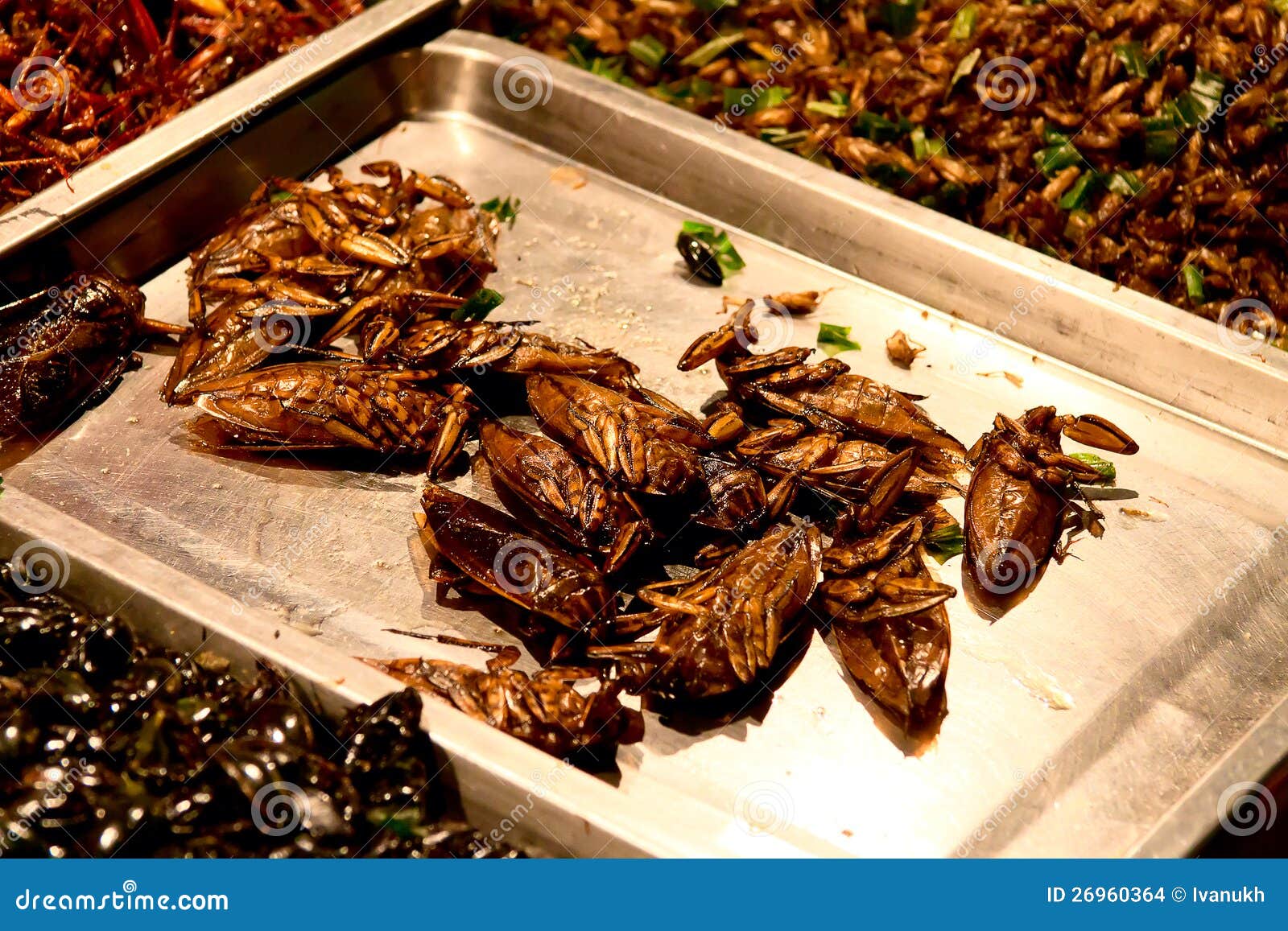 Roasted Insects Served at Bangkok Market Stock Photo - Image of dinner ...