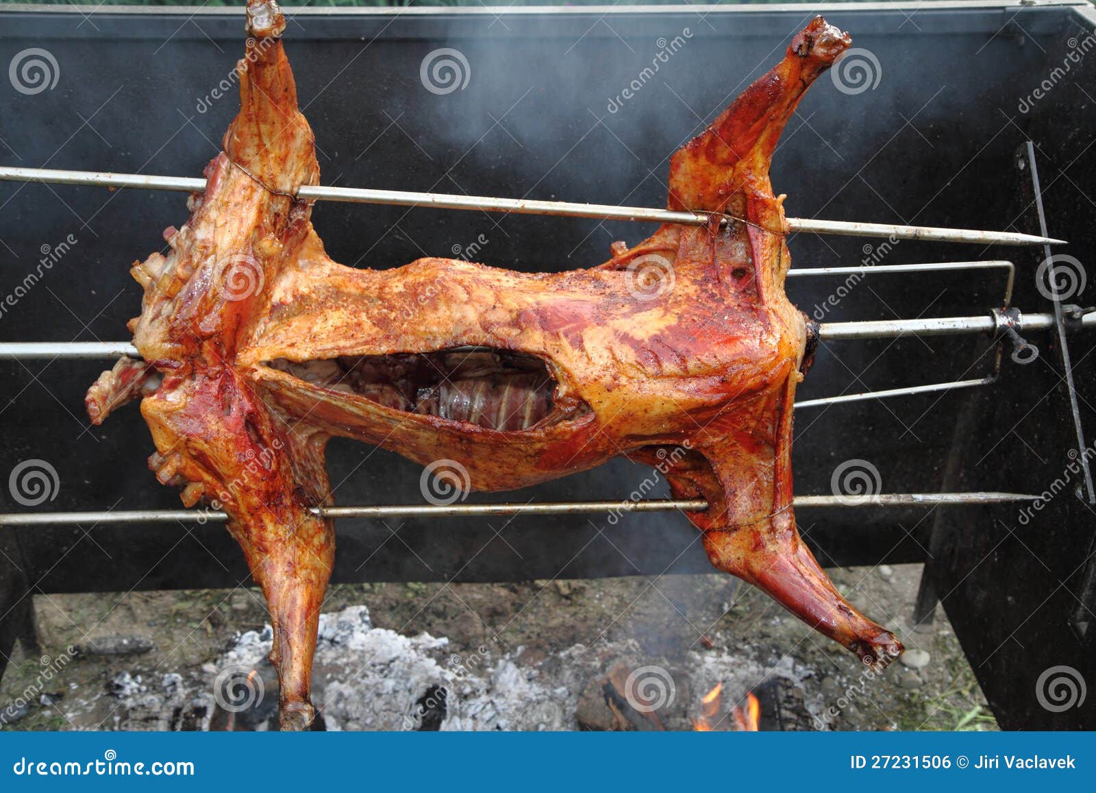 Roasted lamb stock photo. Image of charcoal, fire, brutal - 27231506