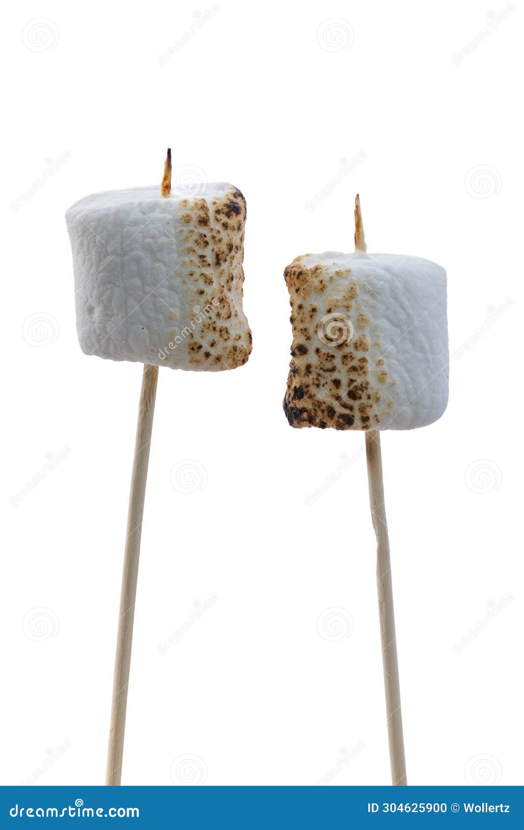 Roasted Marshmallows on a Stick Stock Photo - Image of confection ...